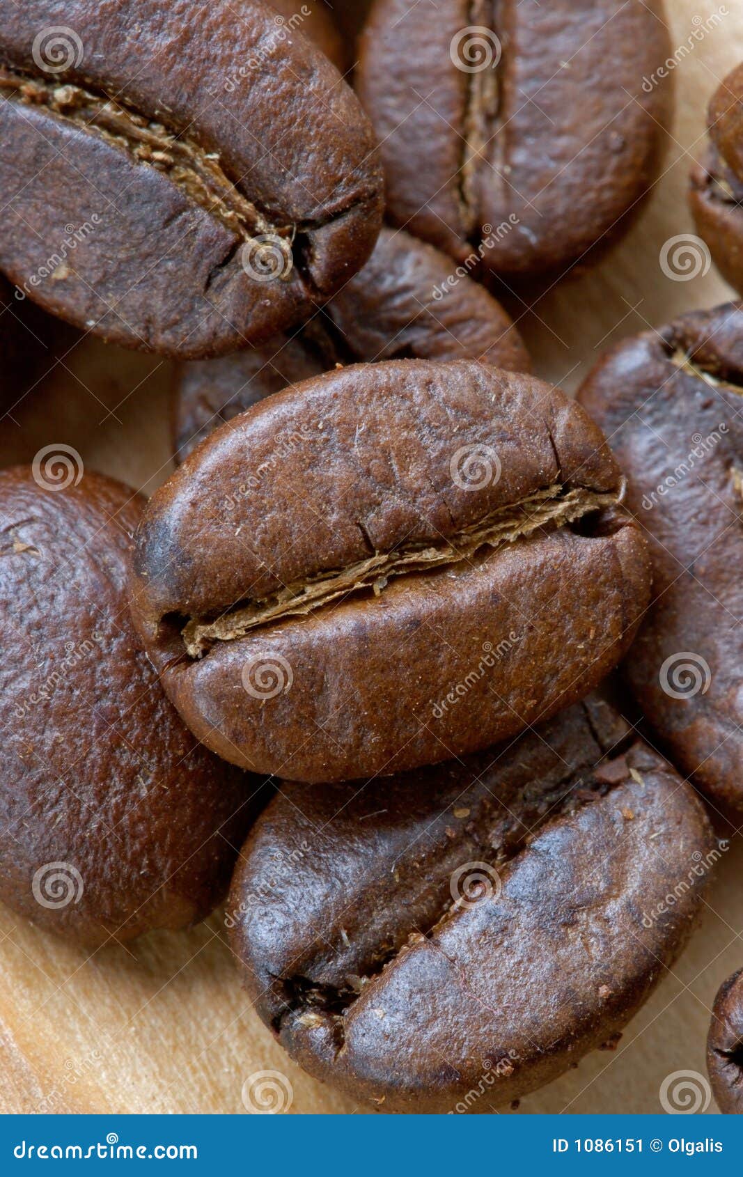 Coffee grains stock image. Image of gains, background - 1086151