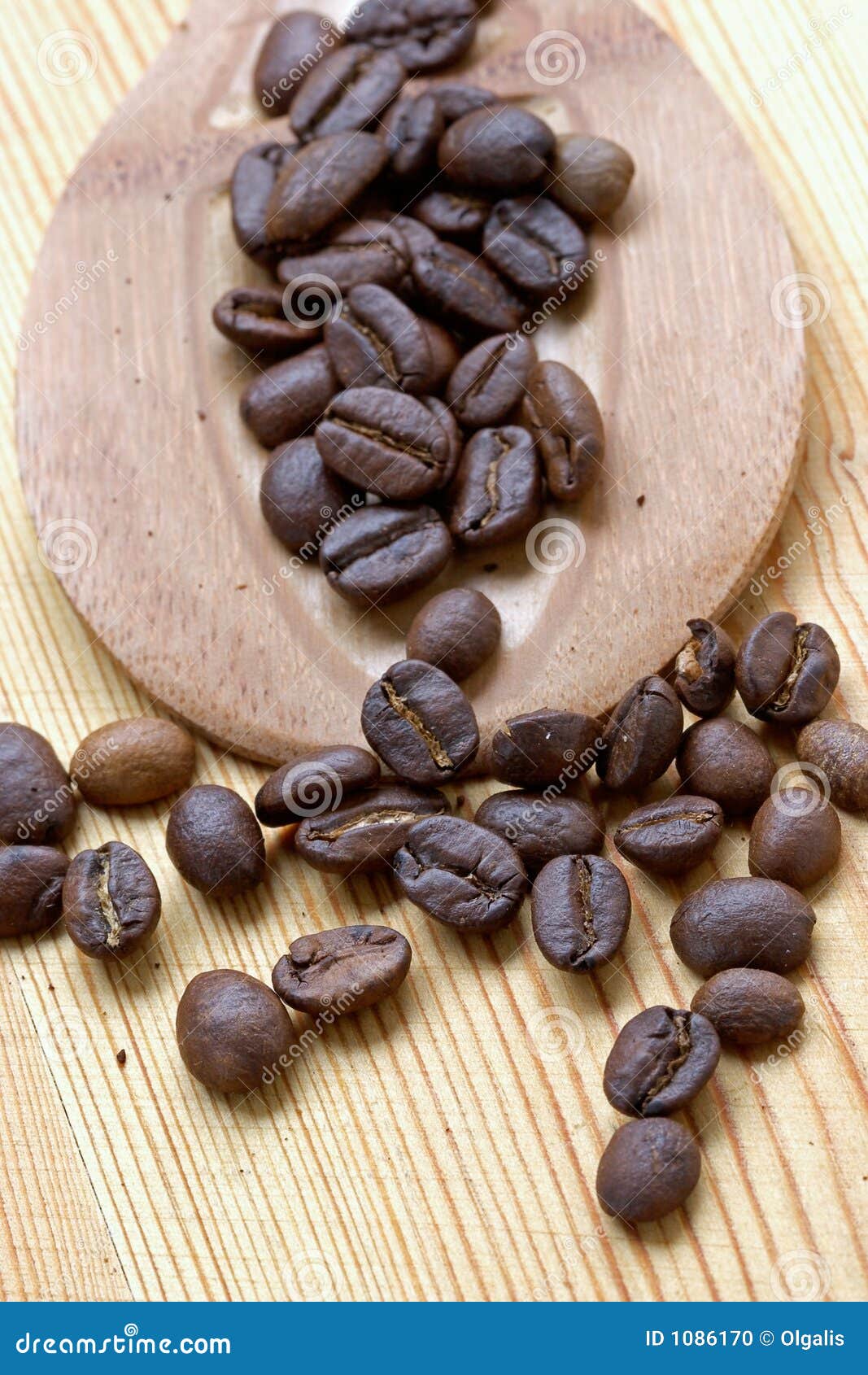 Coffee grains stock photo. Image of fresh, blend, closeup - 1086170