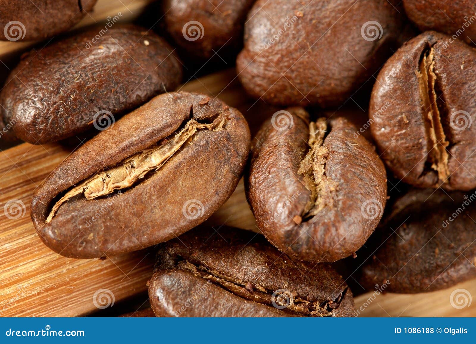 Coffee grains stock photo. Image of cofe, brazil, brewed - 1086188
