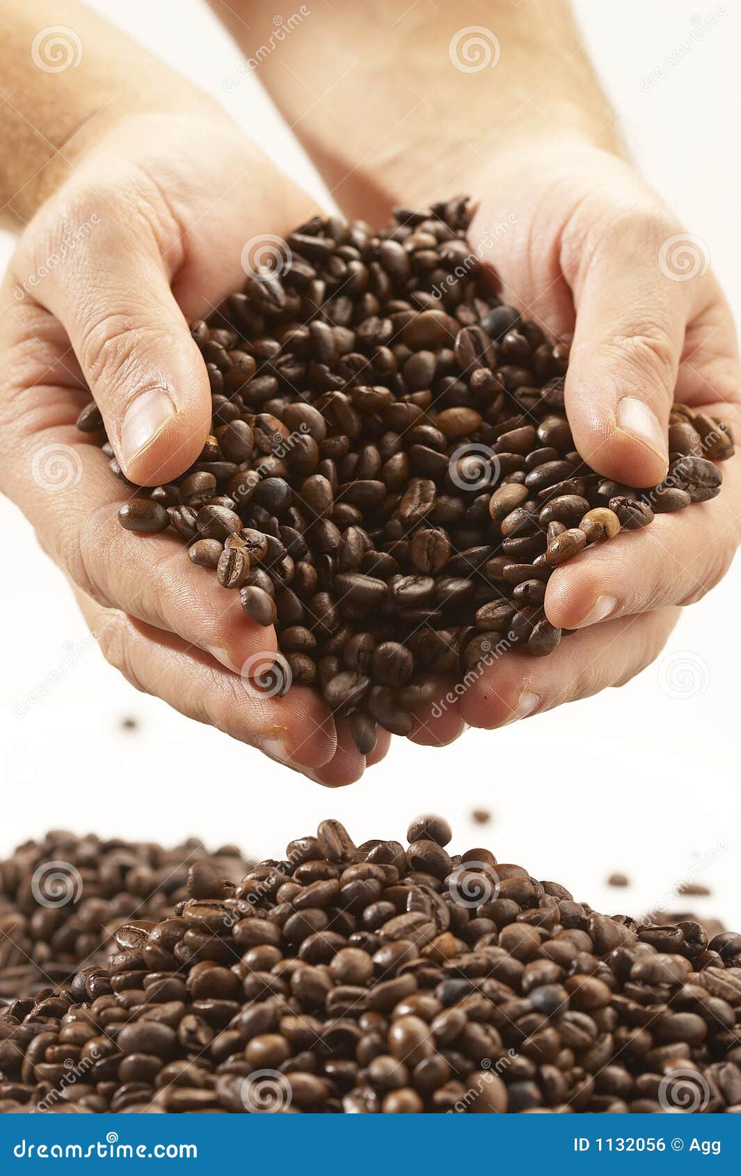Coffee grains stock photo. Image of details, background - 1132056