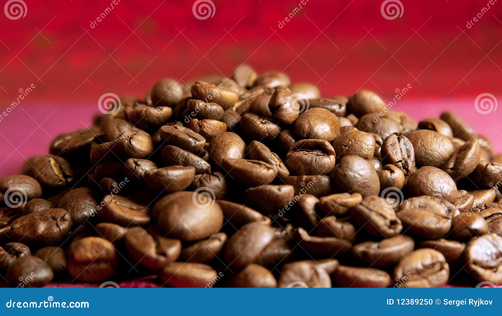 Coffee grains stock photo. Image of coffe, aromatic, brown - 12389250