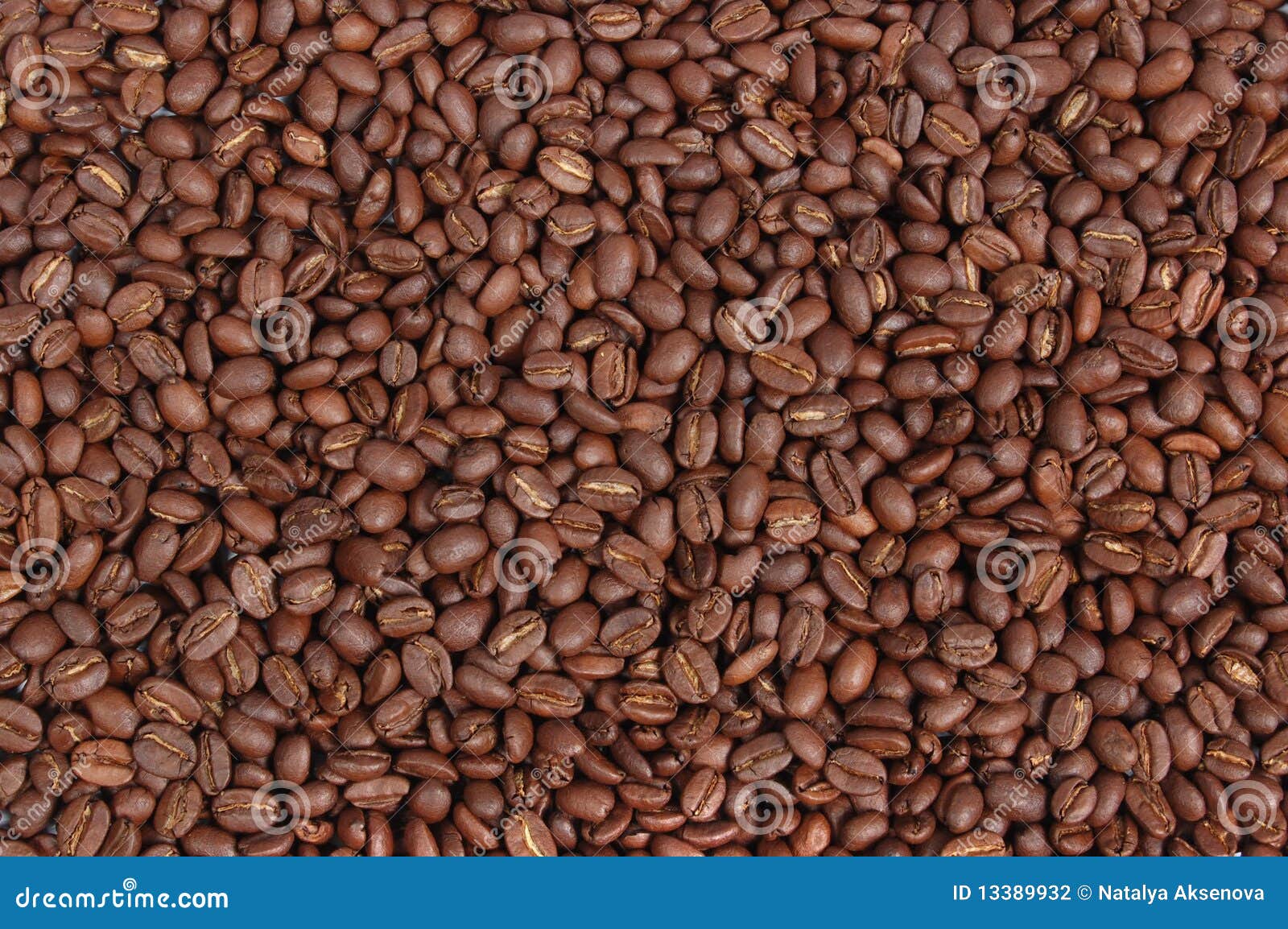 Coffee grains stock photo. Image of structure, dark, coffee - 13389932