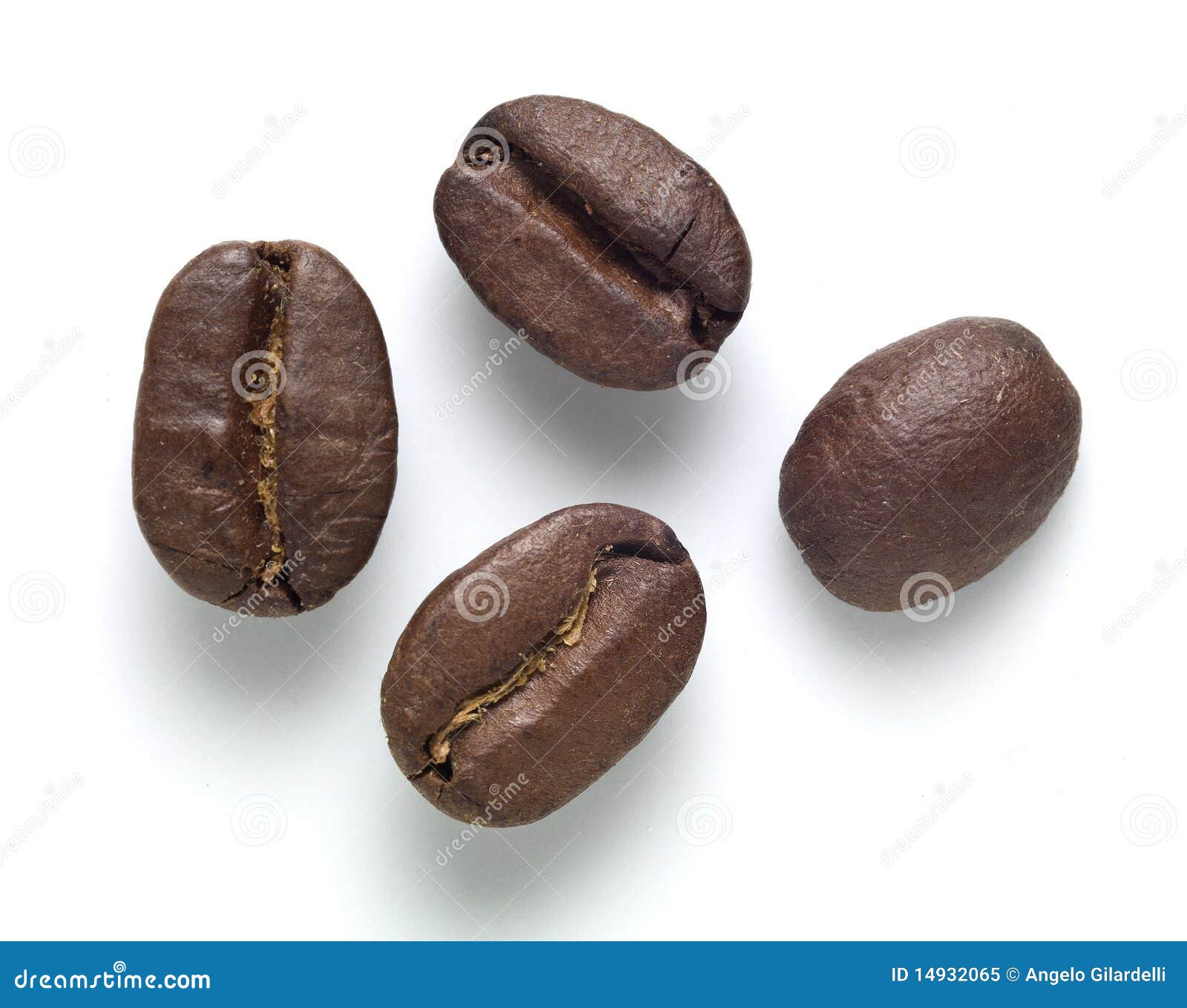 Coffee grains stock image. Image of roasted, coffee, bean - 14932065