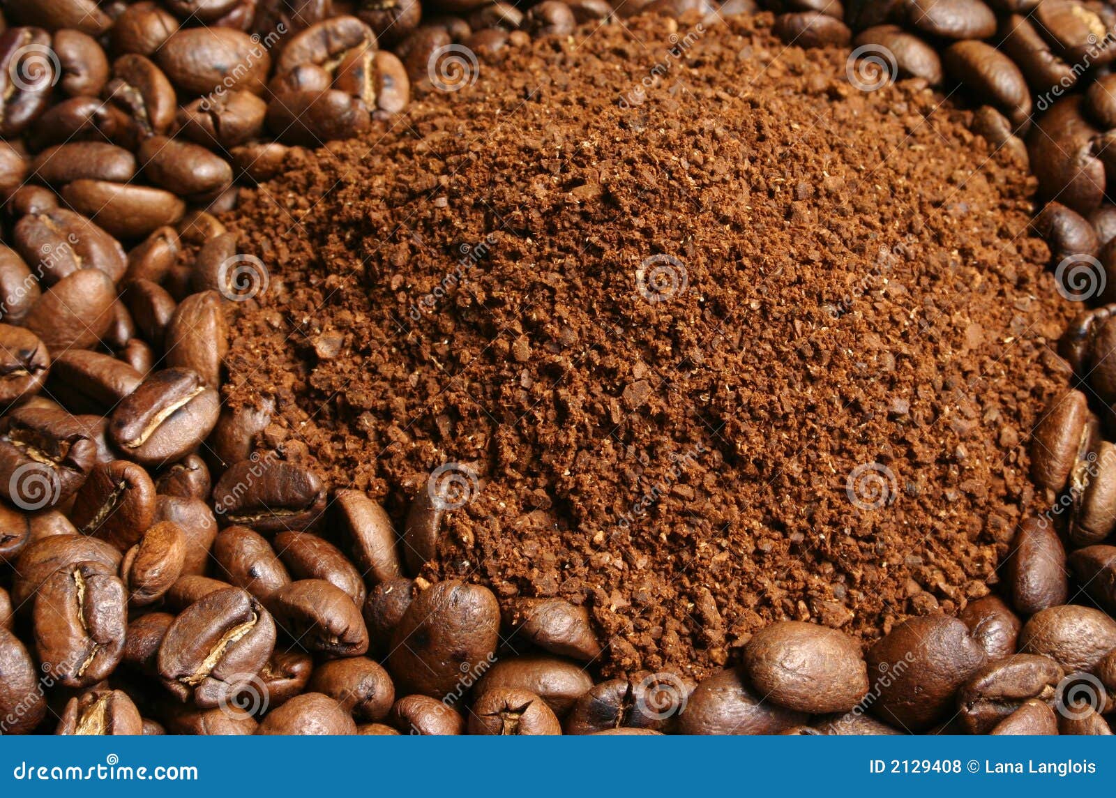 Coffee grains stock photo. Image of coffee, roast, seeds - 2129408