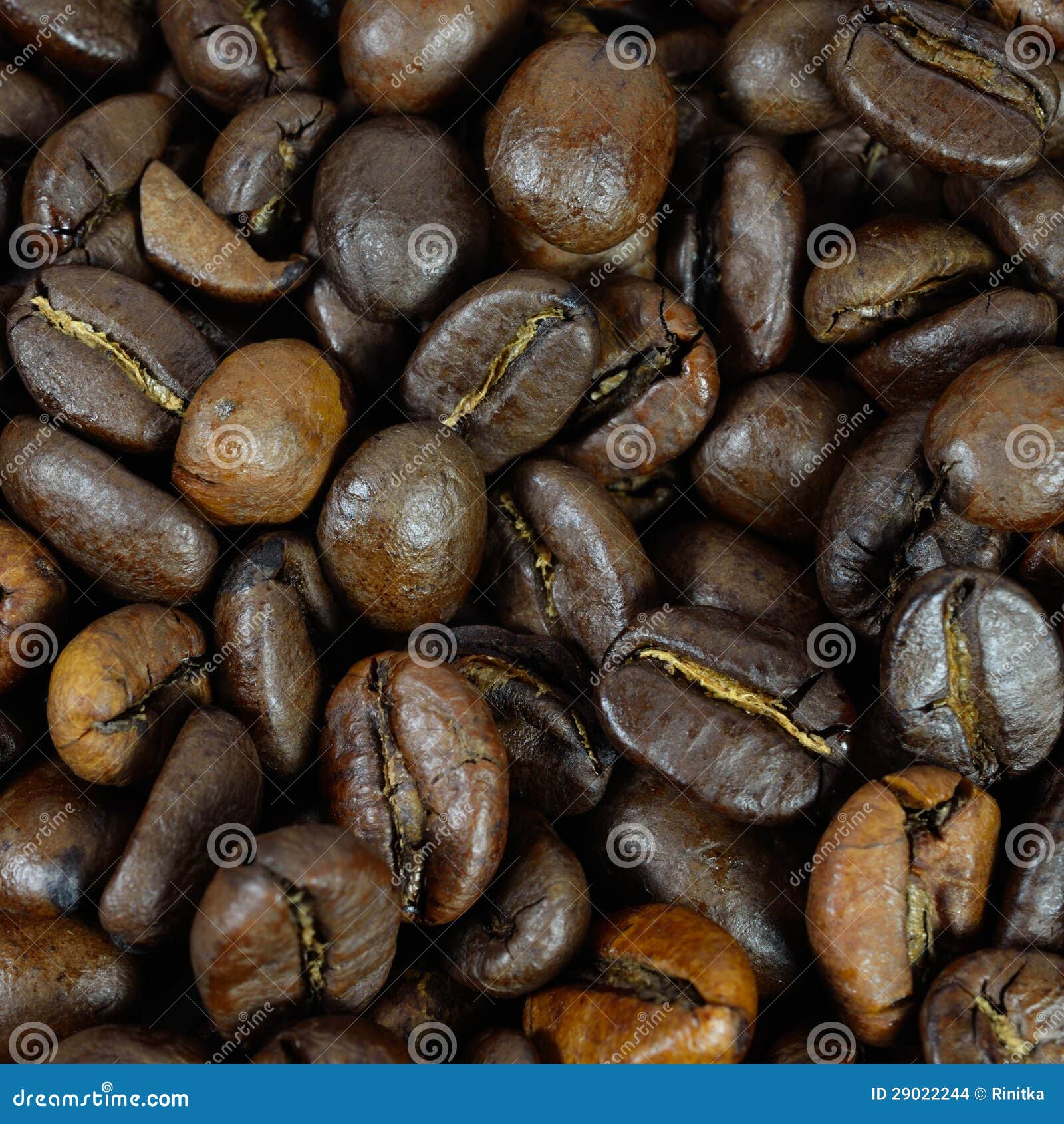 Coffee grains stock photo. Image of drink, black, backdrop - 29022244