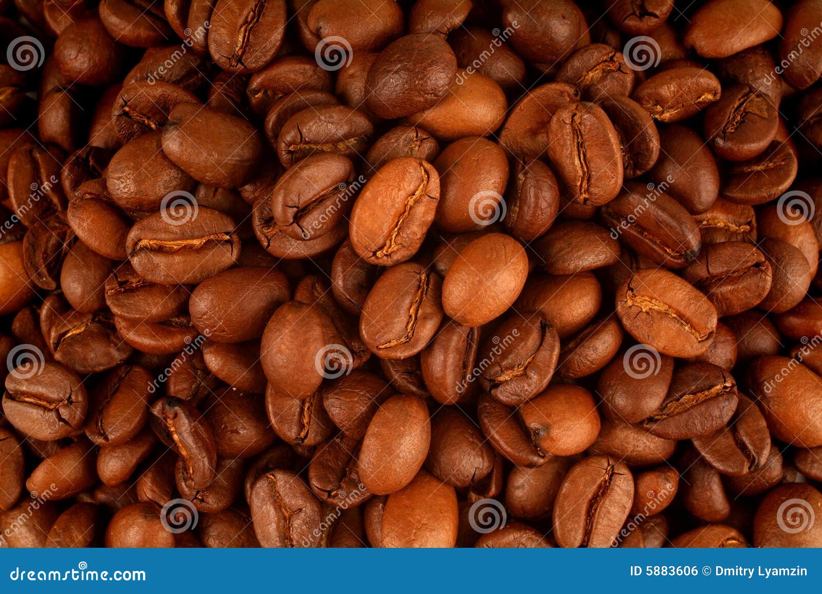 Coffee Grains Stock Photo | CartoonDealer.com #5883606