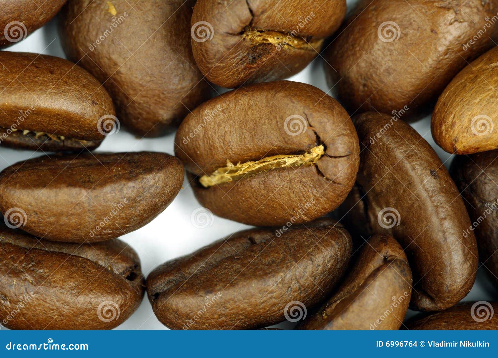 Coffee grains stock photo. Image of caffeine, beans, mocha - 6996764