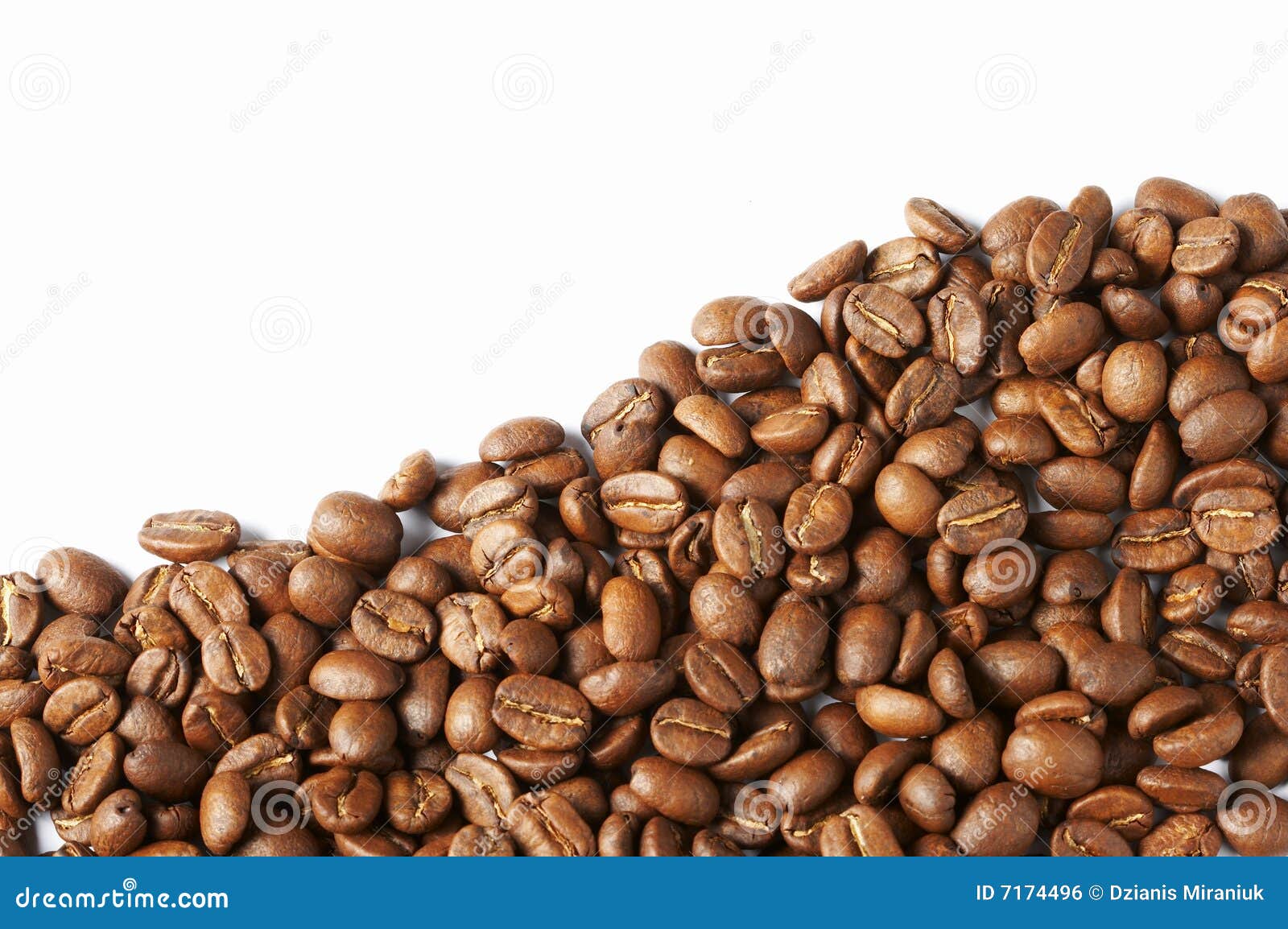 Coffee grains stock photo. Image of caffeine, cafe, crop - 7174496