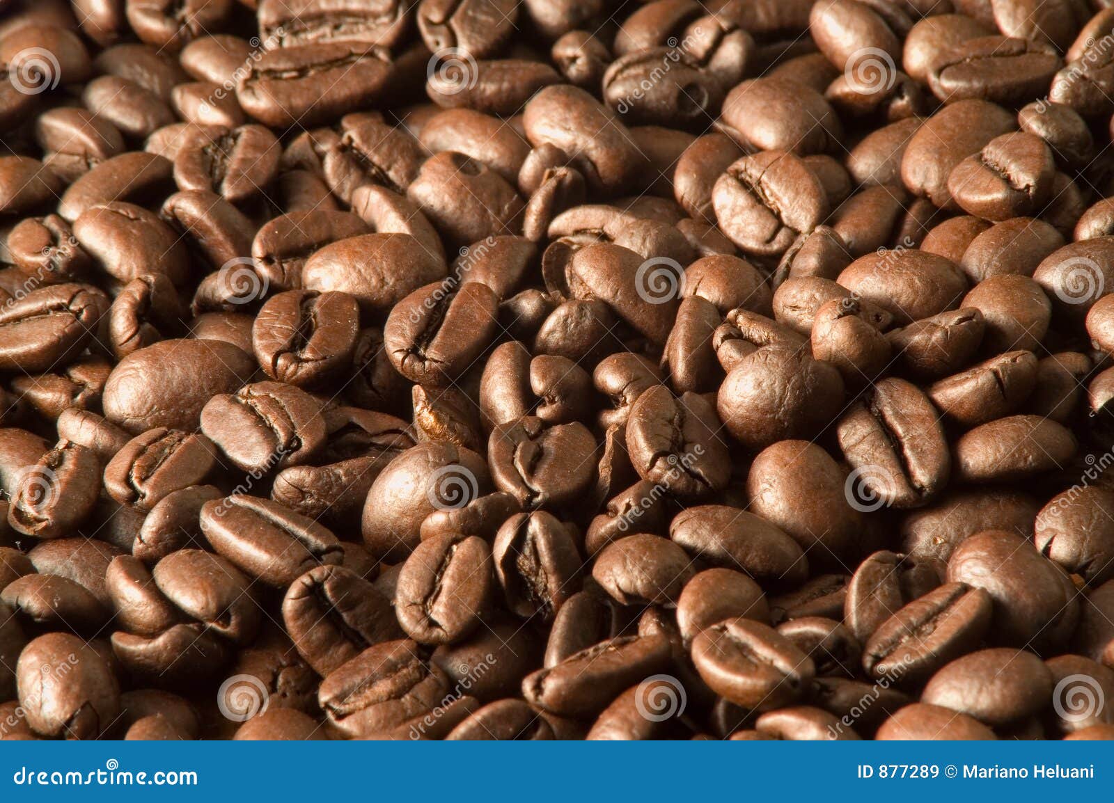 Coffee grains stock image. Image of coffe, brazil, expresso - 877289