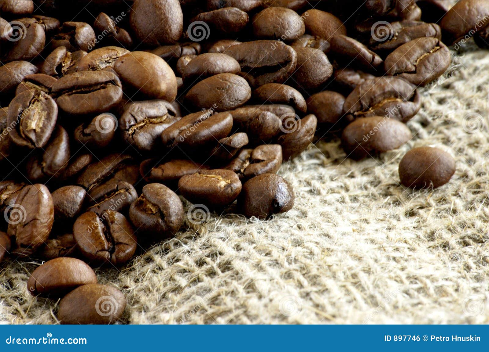 Coffee grains stock photo. Image of blend, fabric, background - 897746