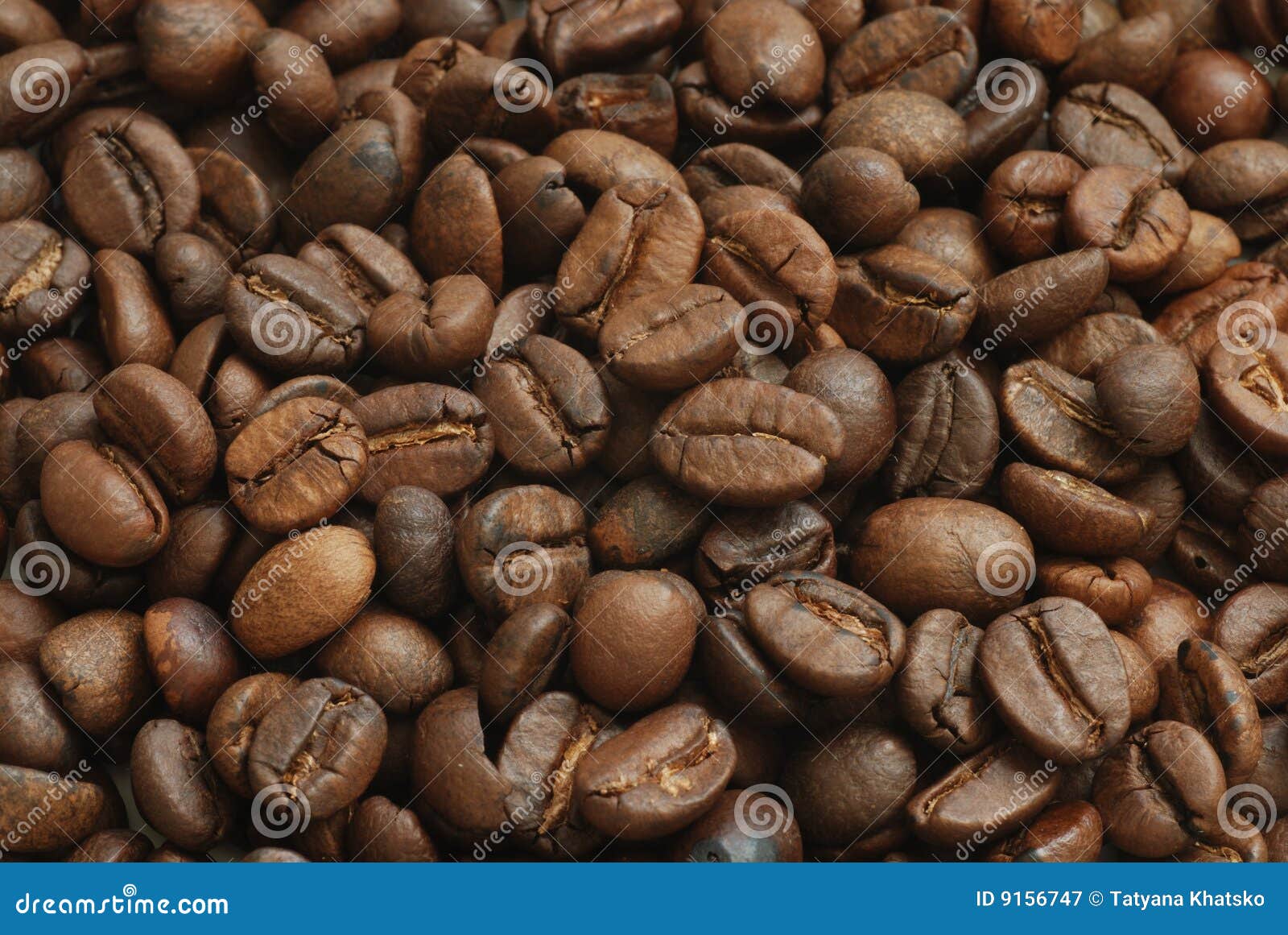 Coffee grains stock image. Image of vivacity, espresso - 9156747