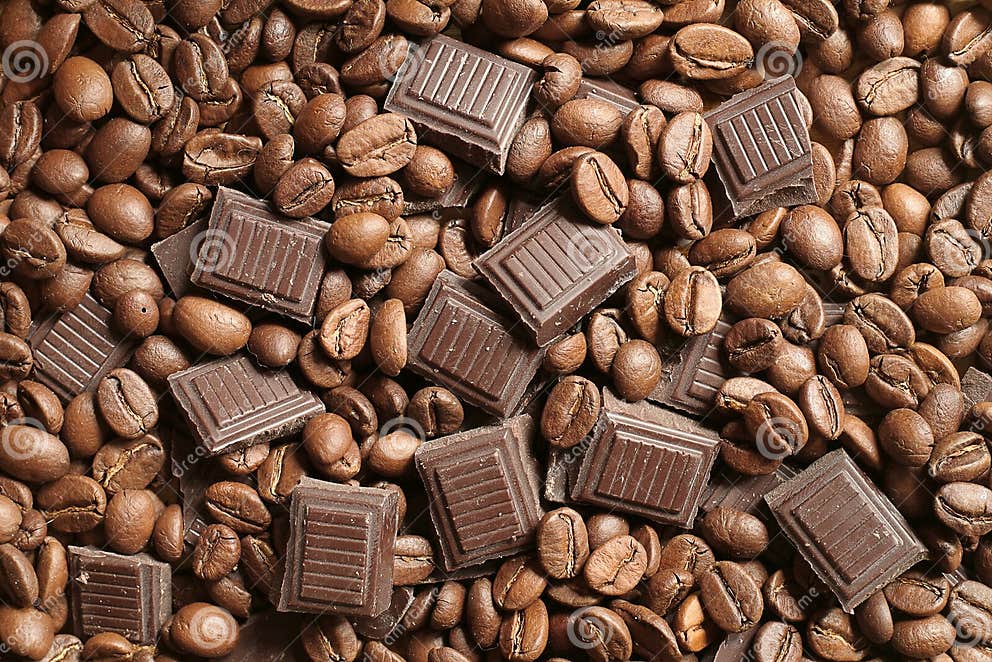 Coffee grains chocolate stock image. Image of dessert, grains - 851835