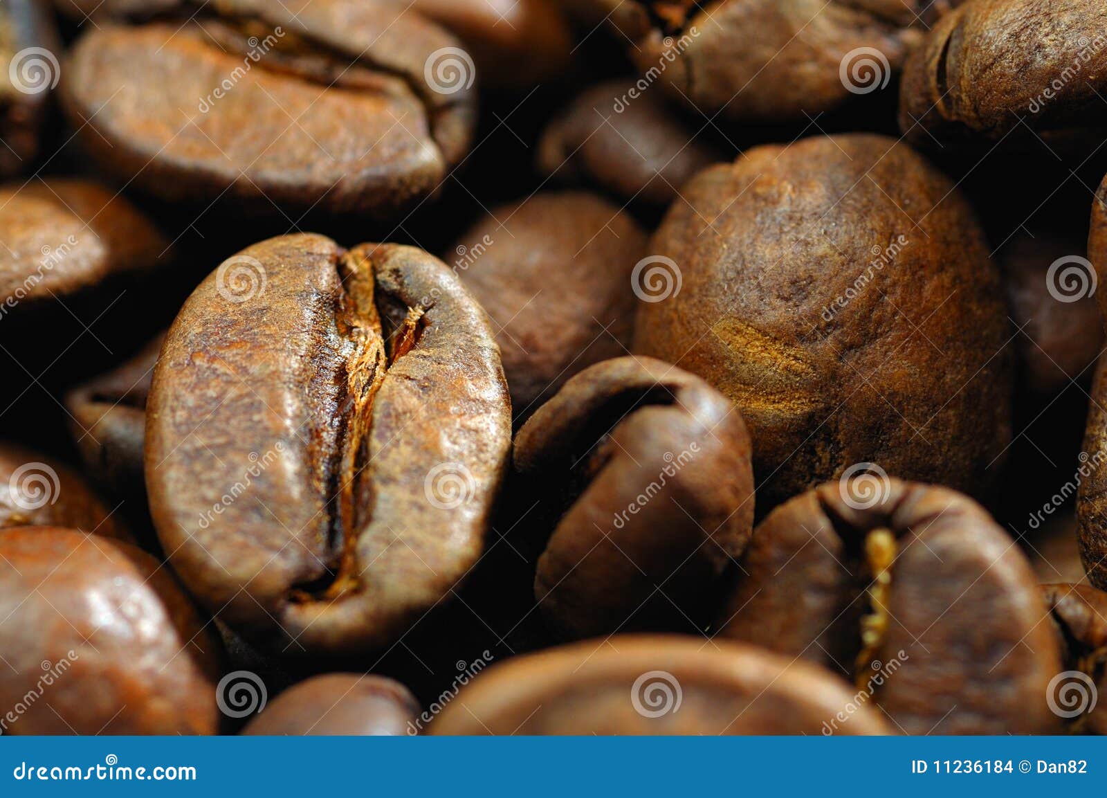 Coffee grains close up stock photo. Image of aromatic - 11236184