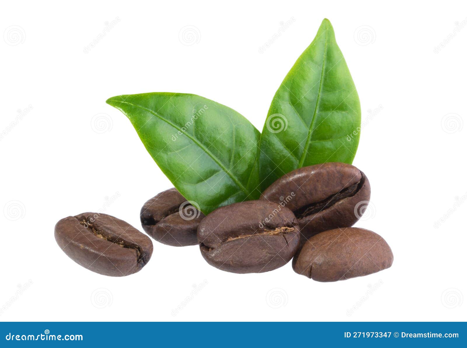 Coffee Grains with Leaves Isolated on White Background without Shadow ...