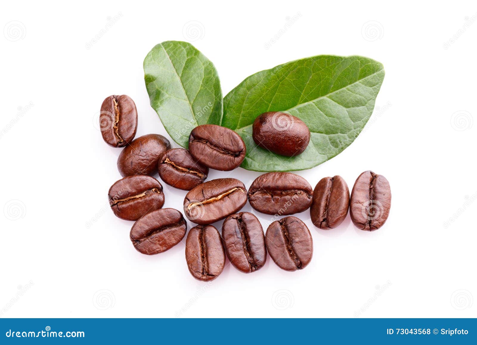 Coffee Grains and Leaves on White Background Stock Photo - Image of ...