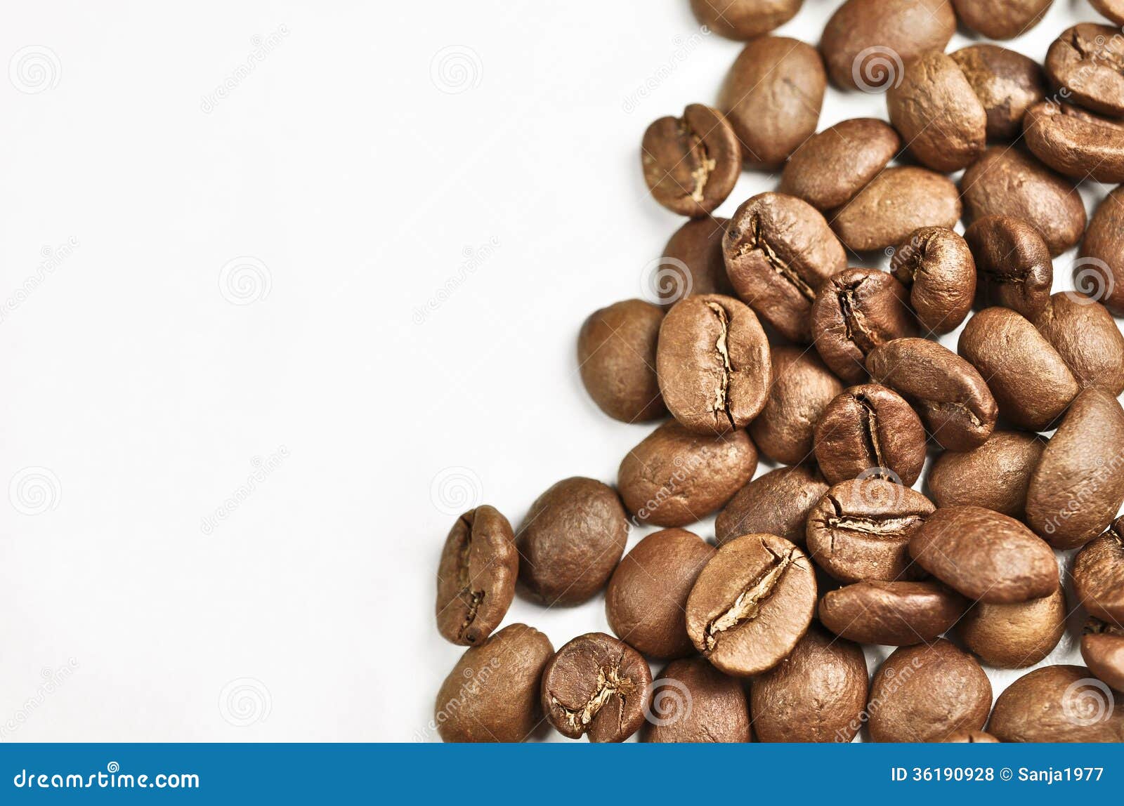 Coffee Grains on a White Background Stock Photo - Image of concept ...