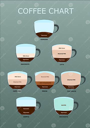 Coffee Guide. Set Hot Drinks Coffee Chart and Coffee Infographic. Stock ...