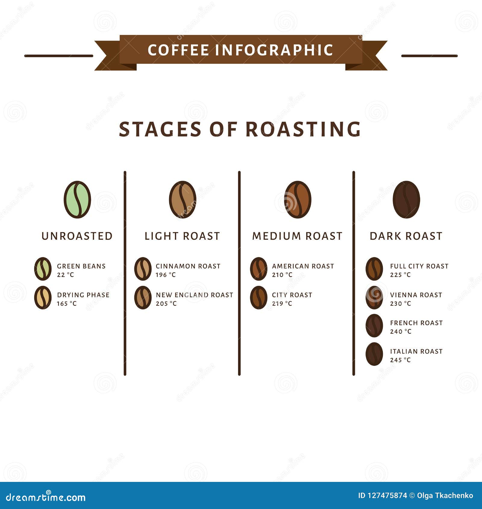 Coffee Infographic. Stages Of Roasting. Flat Style, Vector Illus ...