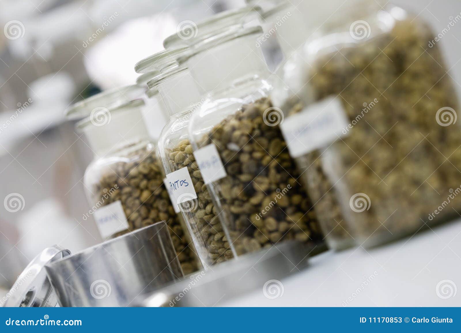 Coffee Laboratory stock image. Image of brown, flavor - 11170853