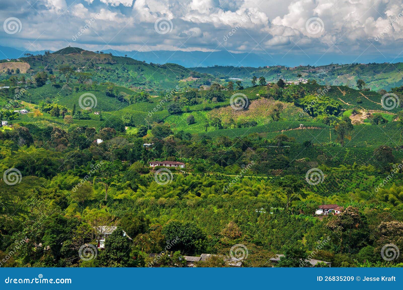 Coffee Landscape stock image. Image of landscape, cloud - 26835209