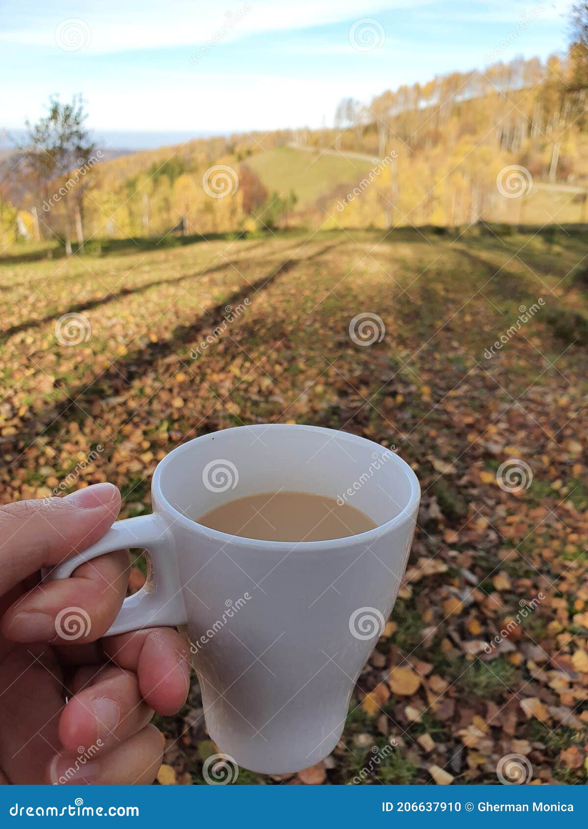 Coffee with a Mountain View Stock Photo - Image of grass, green: 206637910