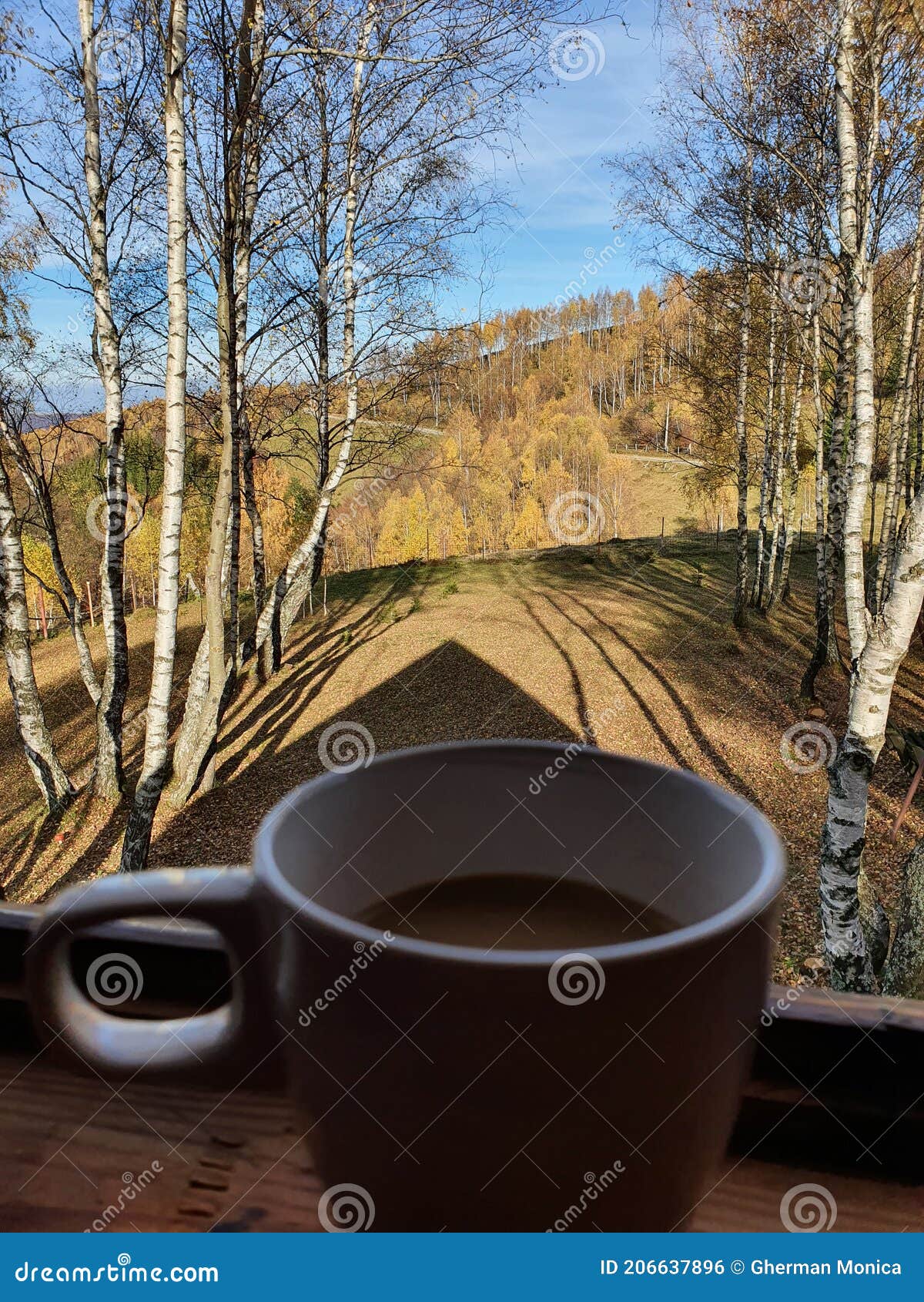 Coffee with a Mountain View Stock Photo - Image of flower, trees: 206637896