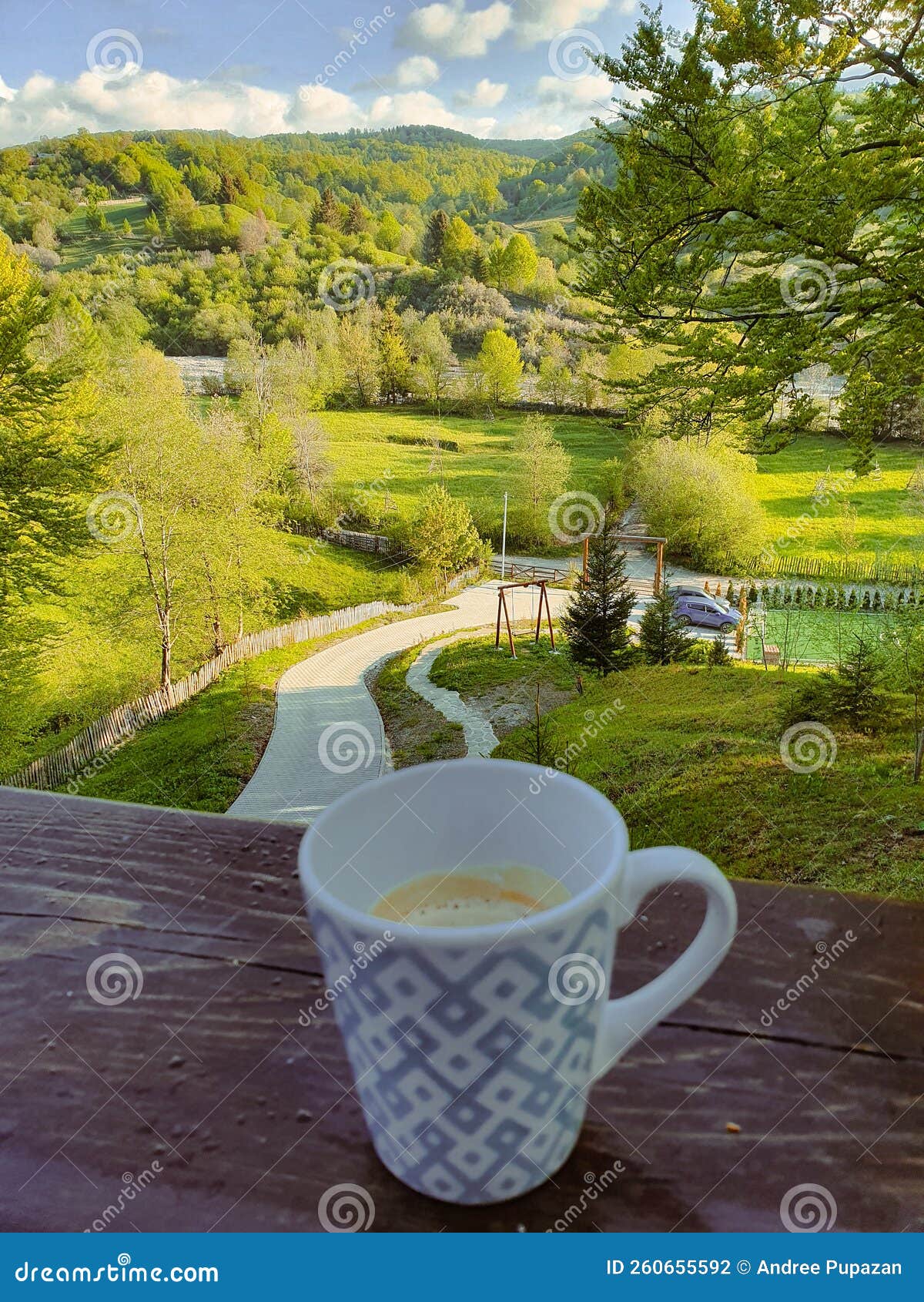 Coffee in the Mountains stock photo. Image of green - 260655592