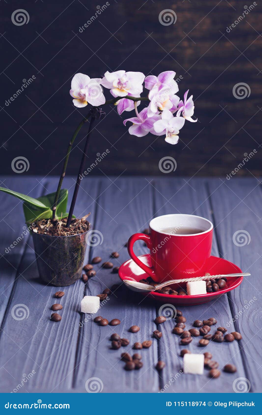 Coffee with orchid stock photo. Image of cappuccino - 115118974