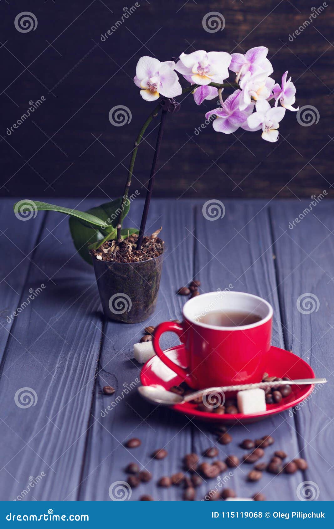 Coffee with orchid stock photo. Image of spoon, decor - 115119068