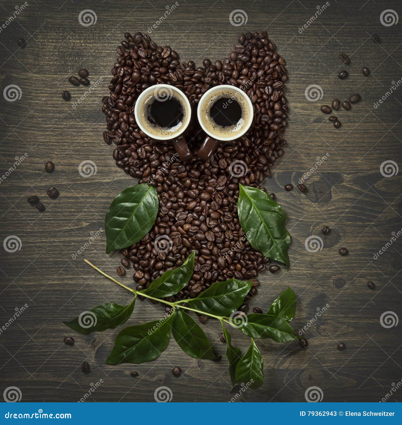 Coffee owl from beens stock image. Image of wake, leaves - 79362943