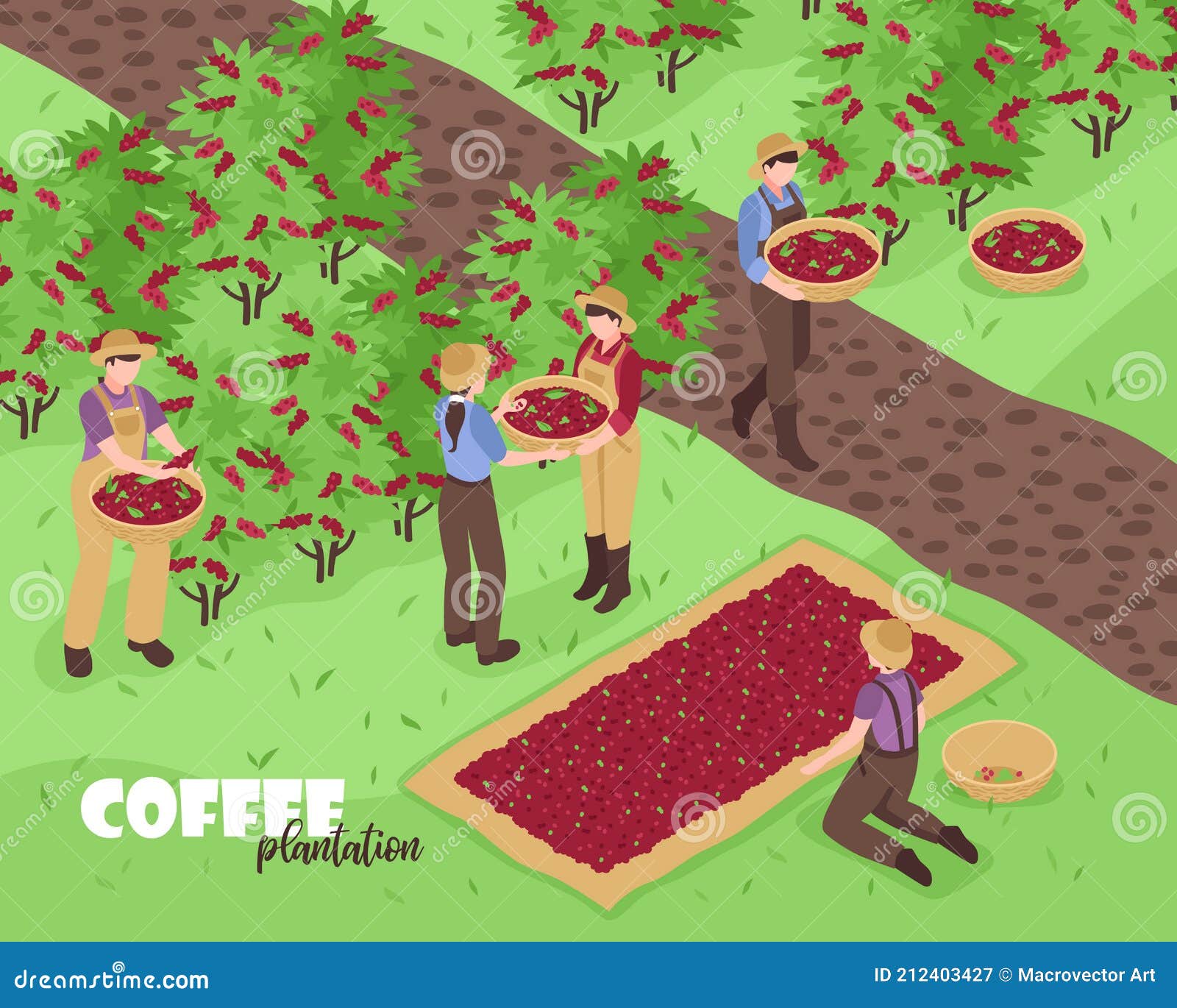 Coffee Plantation Illustration Stock Vector - Illustration of flyer ...