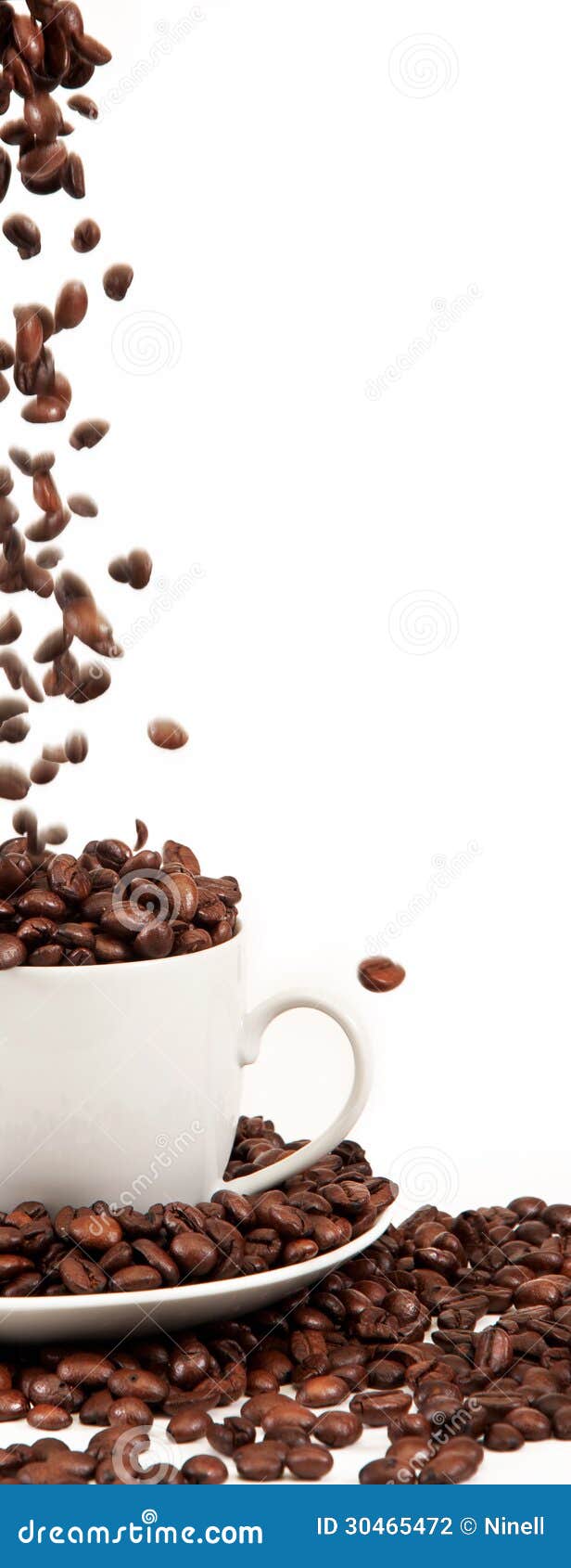 Coffee stock photo. Image of isolated, gourmet, food - 30465472