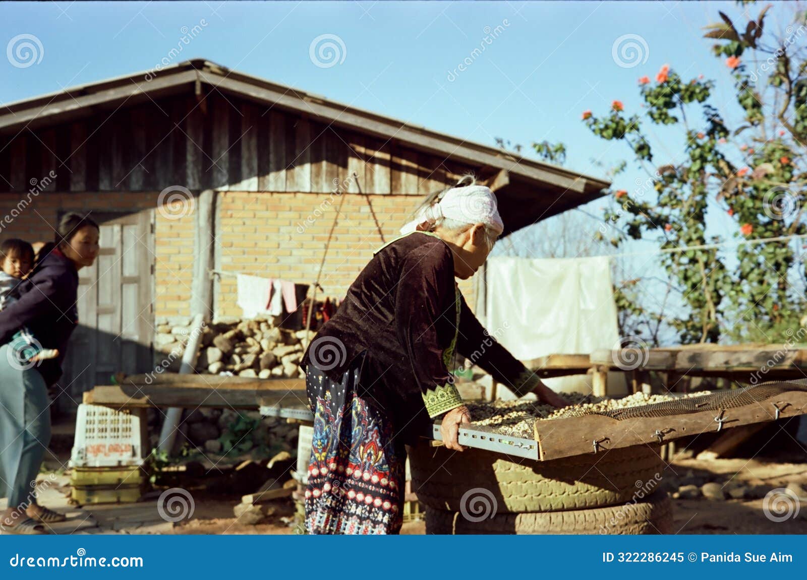 Coffee Process of Hmong editorial image. Image of coffee - 322286245