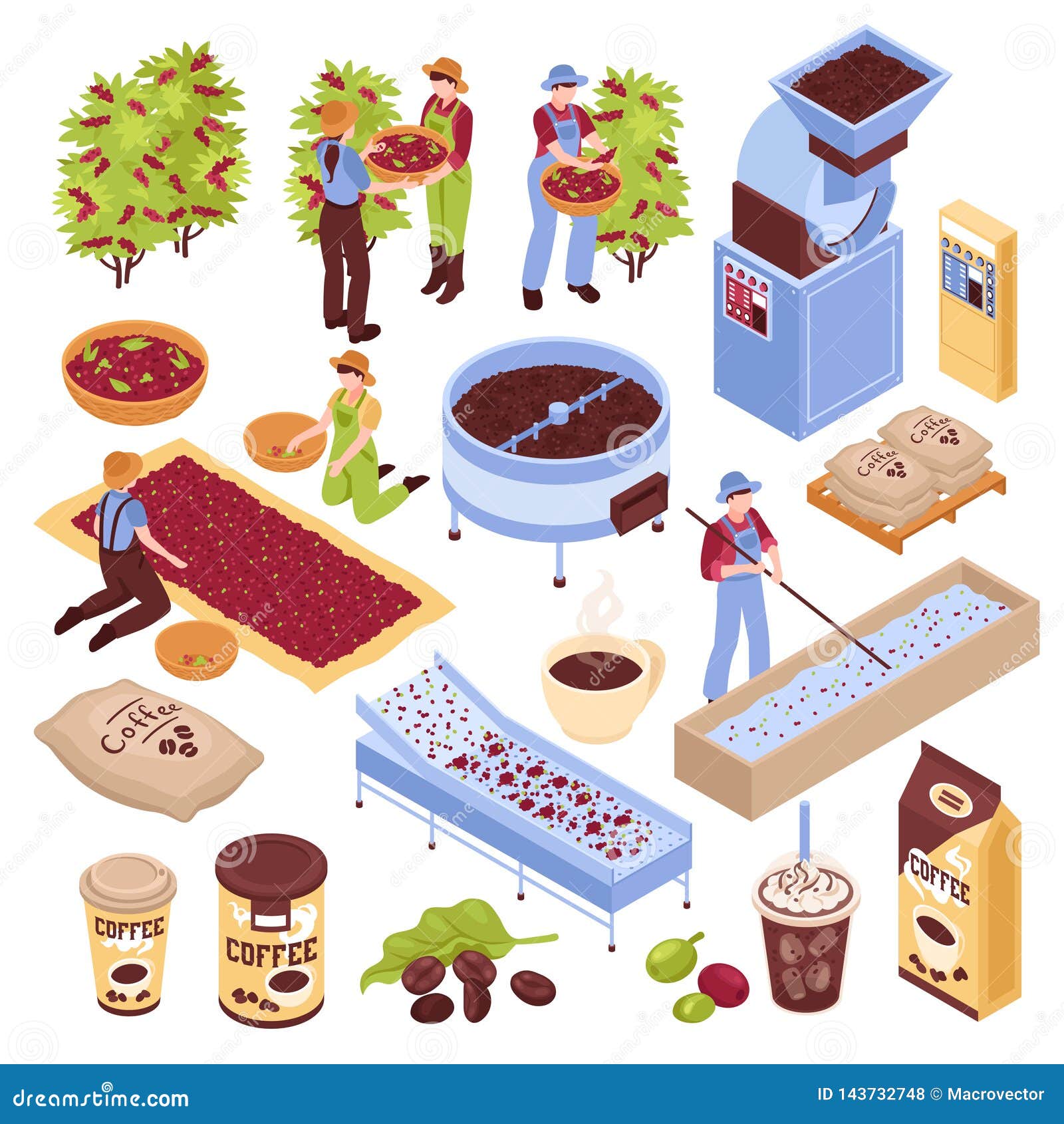 Coffee Production And Consumption Infographics Cartoon Vector ... Coffee Production And Consumption Infographics Cartoon Vector ...