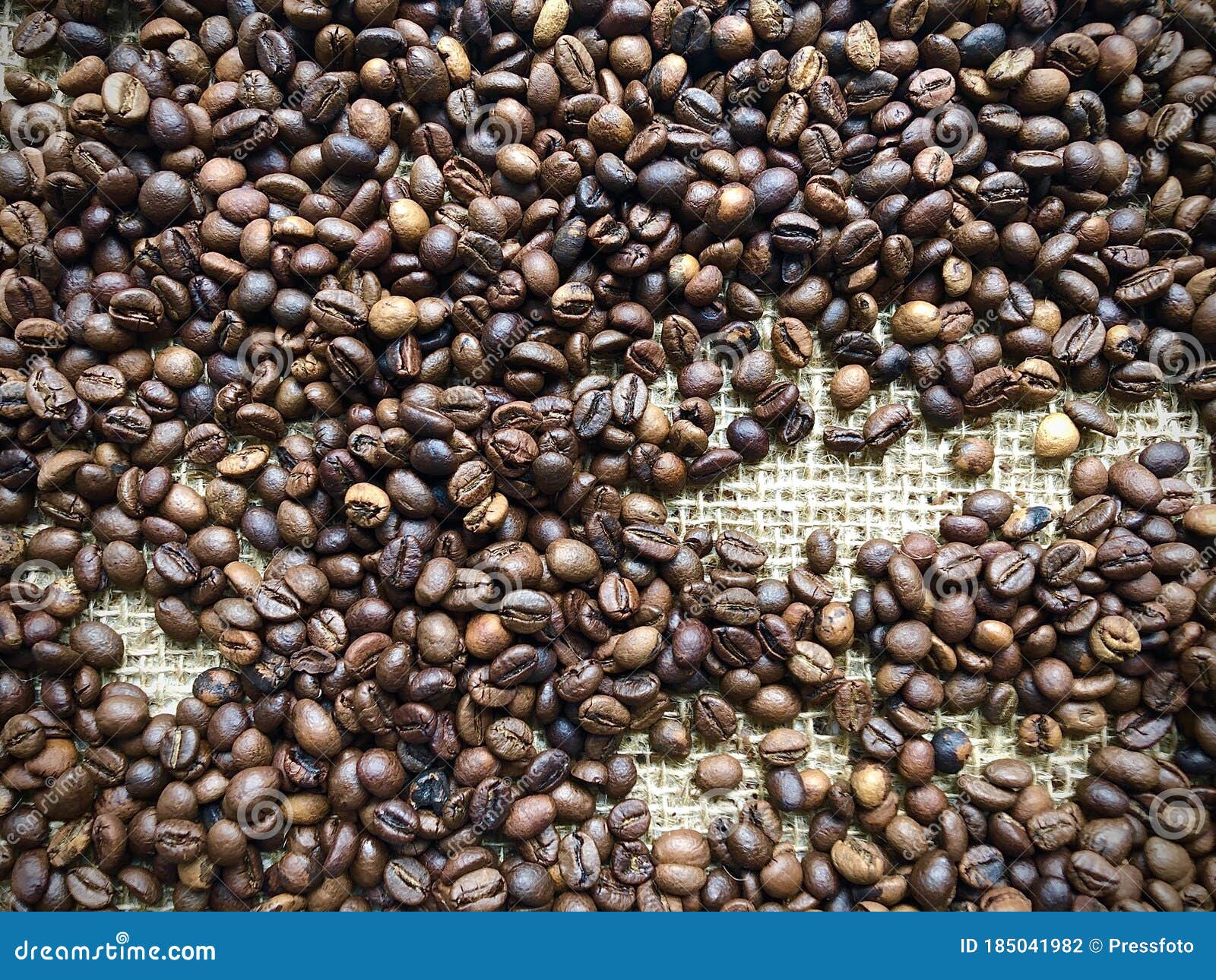 Coffee Production Process stock photo. Image of bean - 185041982