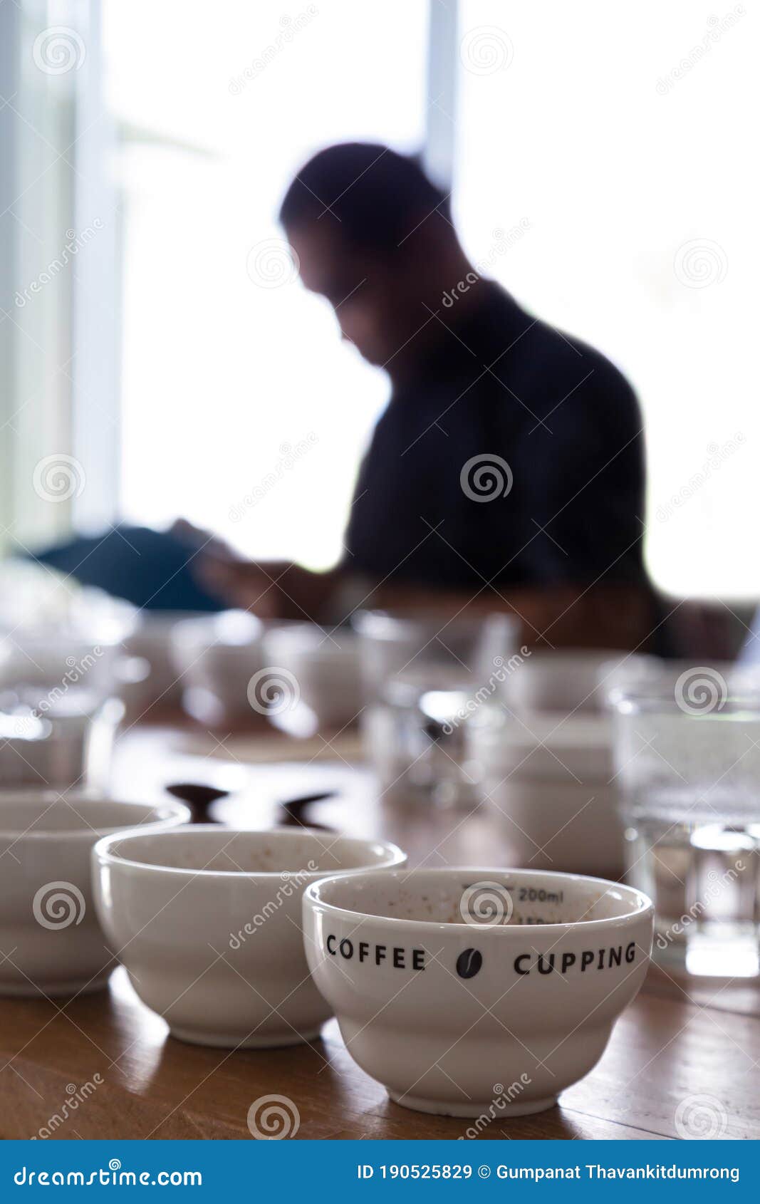 Coffee Professional Q Grader Testing and Inspecting the Quality of ...