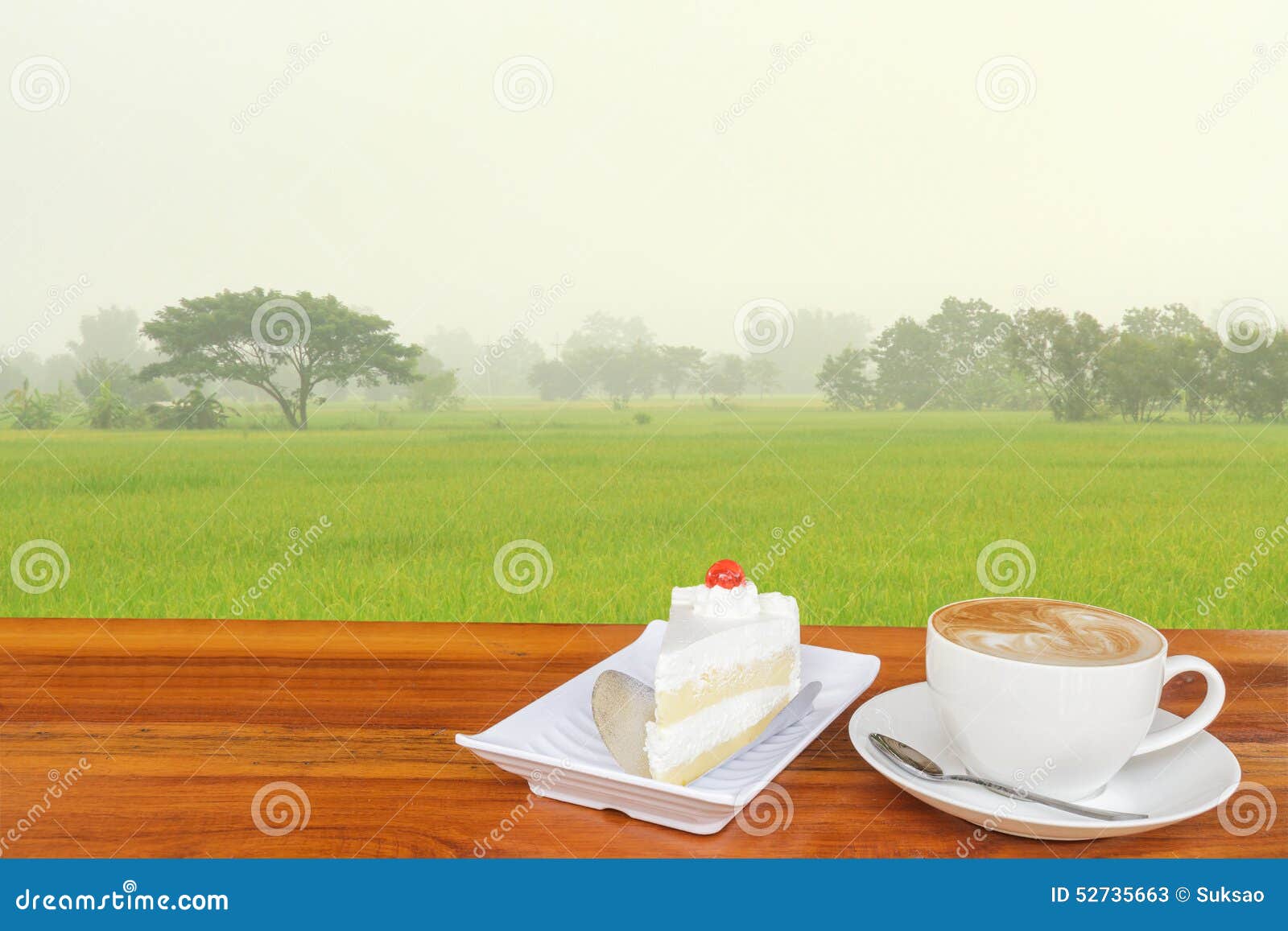 Coffee and Rice field. stock image. Image of agriculture - 52735663