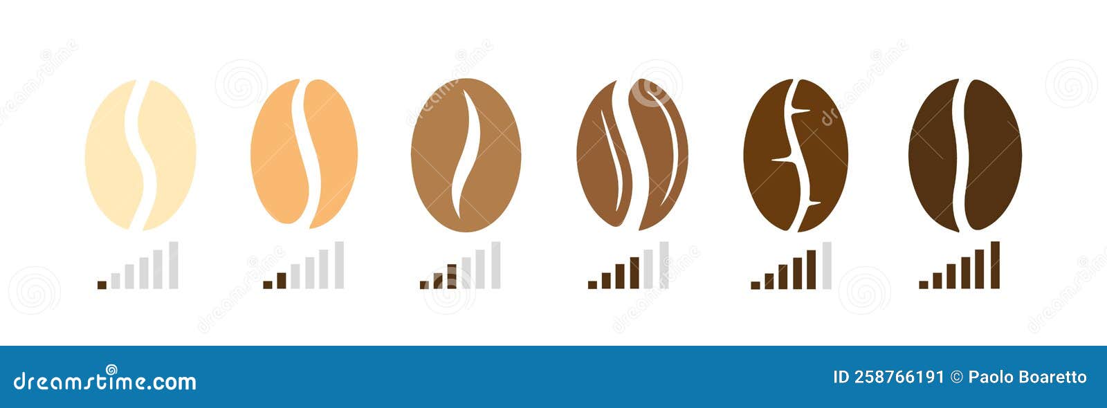 Coffee Roasting Guide. Realistic Coffee Beans in Various Roasting ...