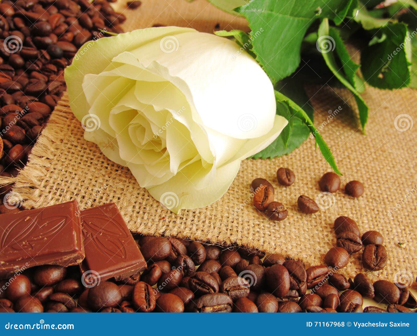 Coffee and rose stock photo. Image of brew, chocolate - 71167968
