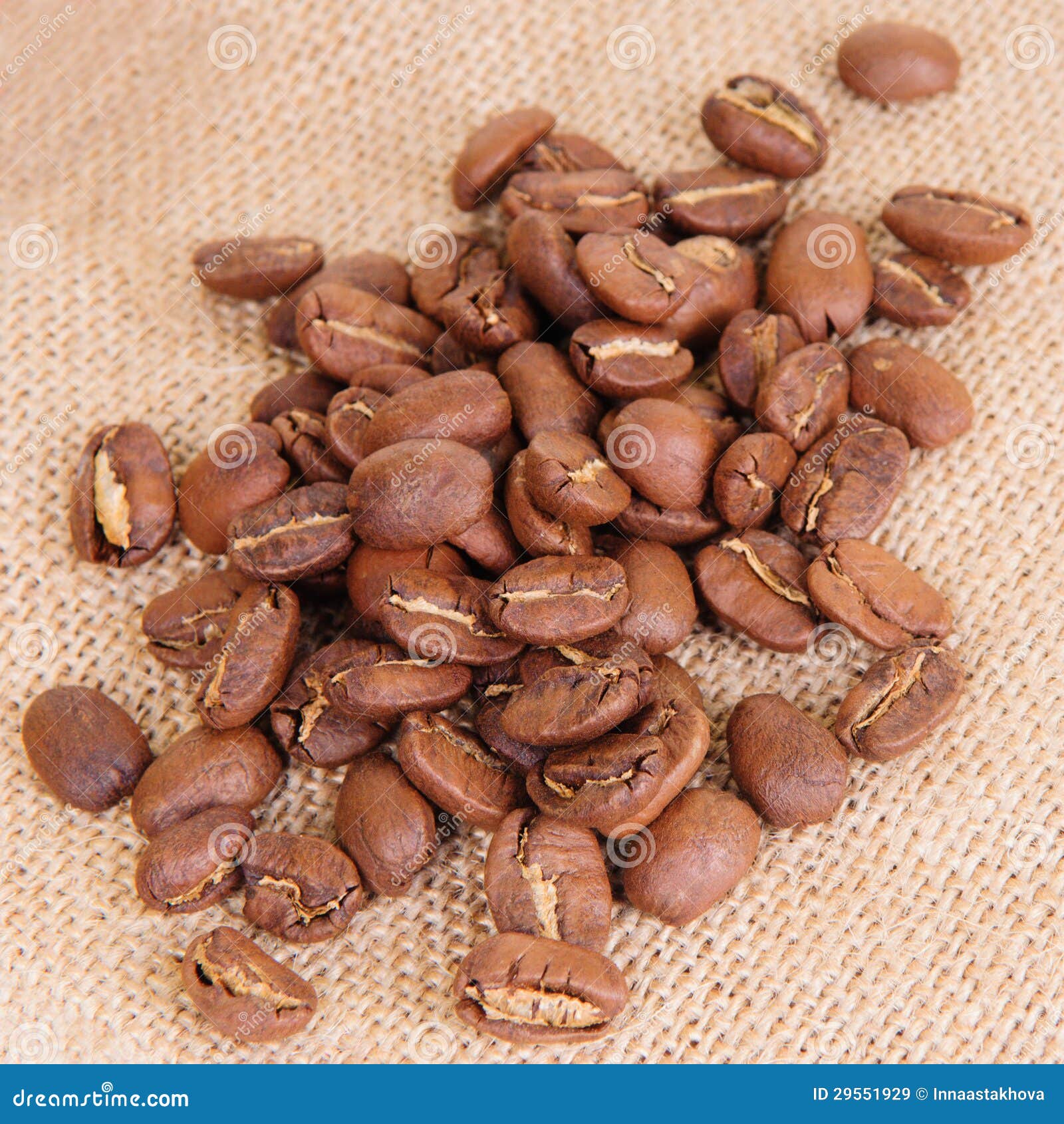 Coffee on sack stock image. Image of mocha, container - 29551929