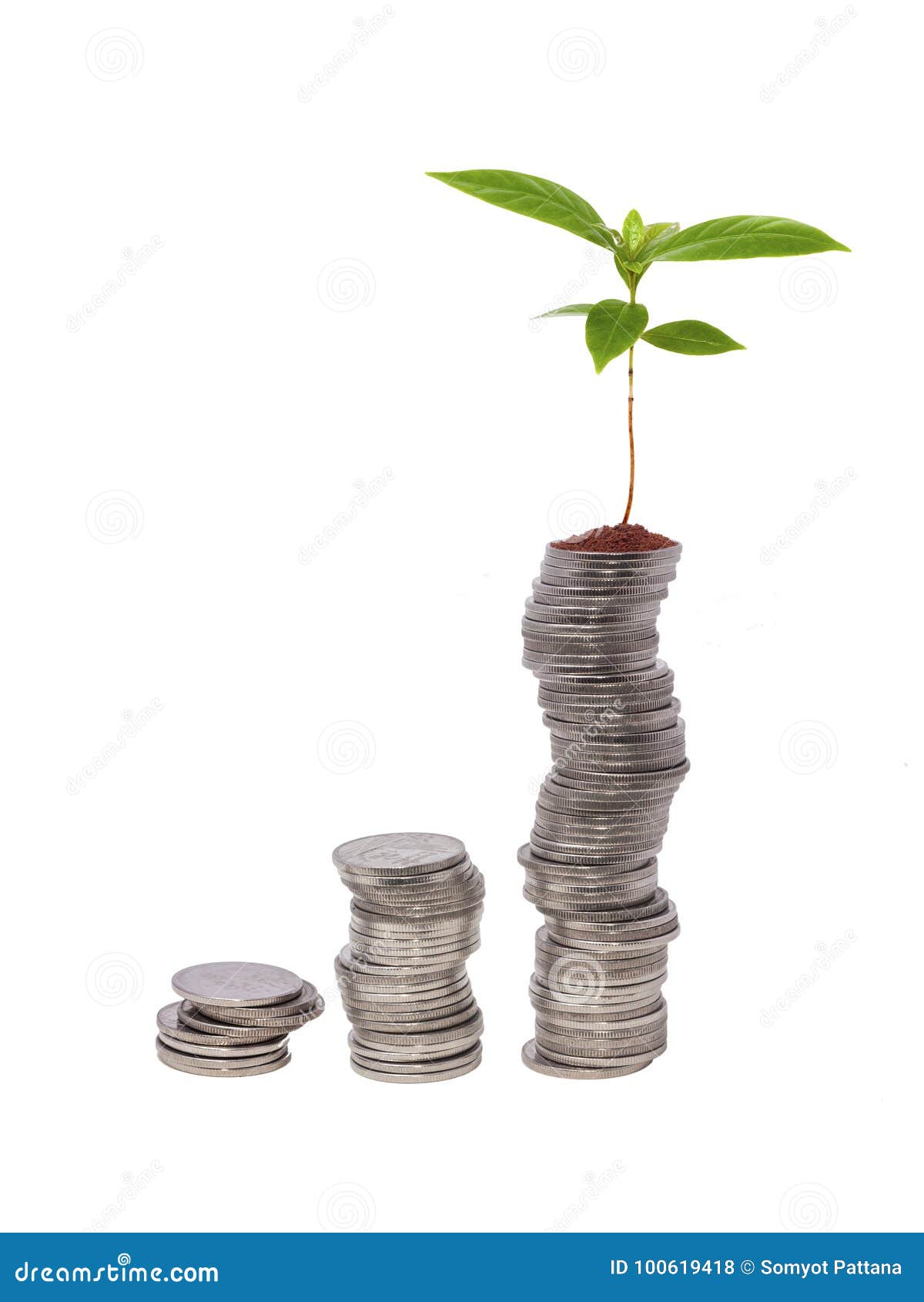 The growth of money stock photo. Image of finance, wealth - 100619418