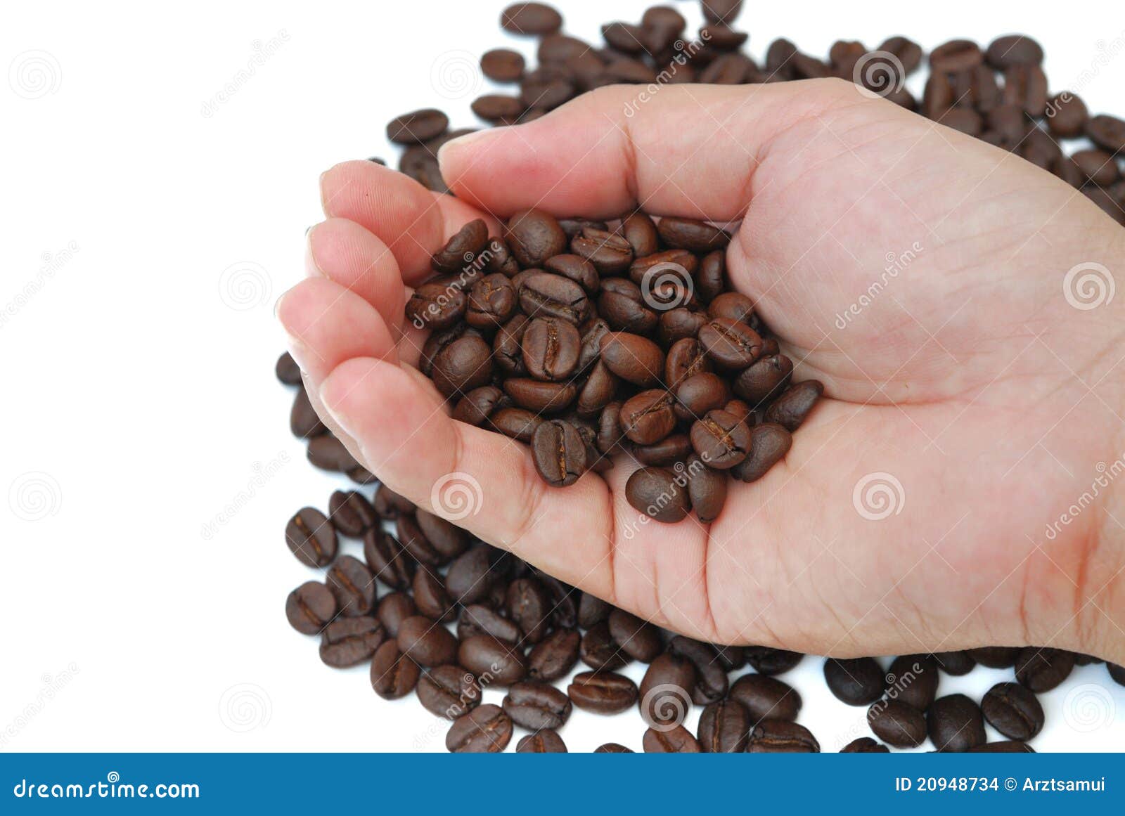Coffee seed stock photo. Image of isolated, close, cafe - 20948734