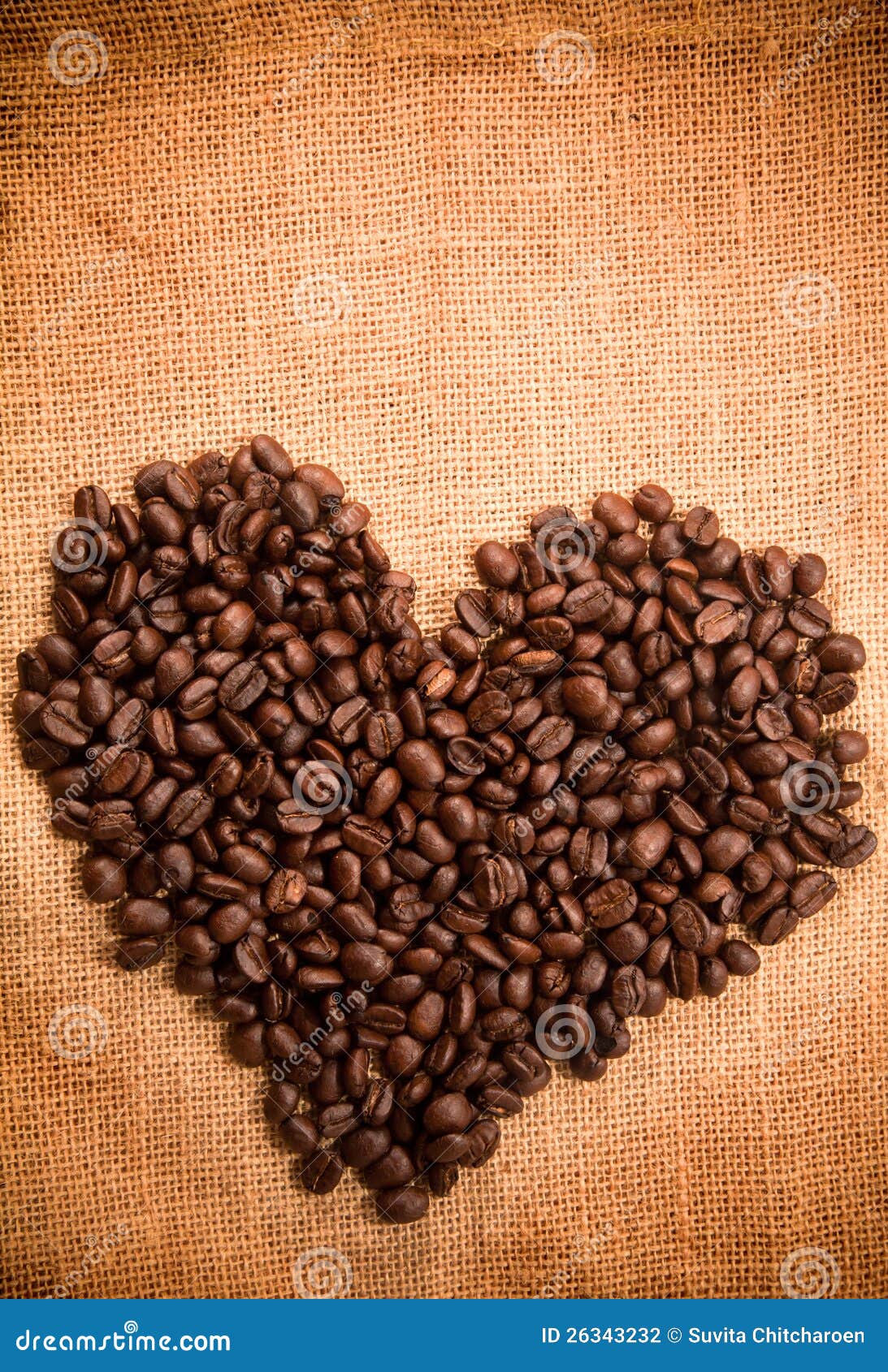 Coffee seed frame stock photo. Image of design, mill - 26343232