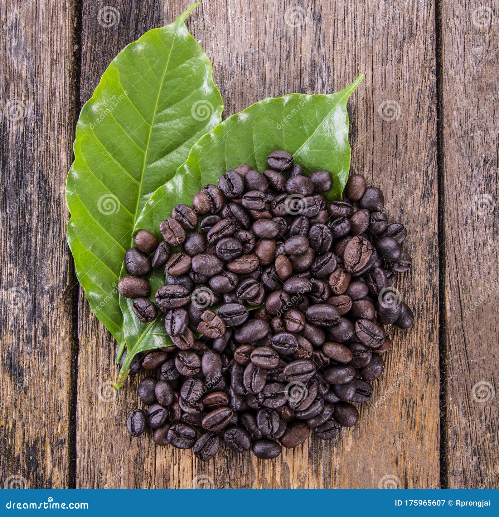 Coffee Seed and Leaves on Table Stock Image - Image of background ...