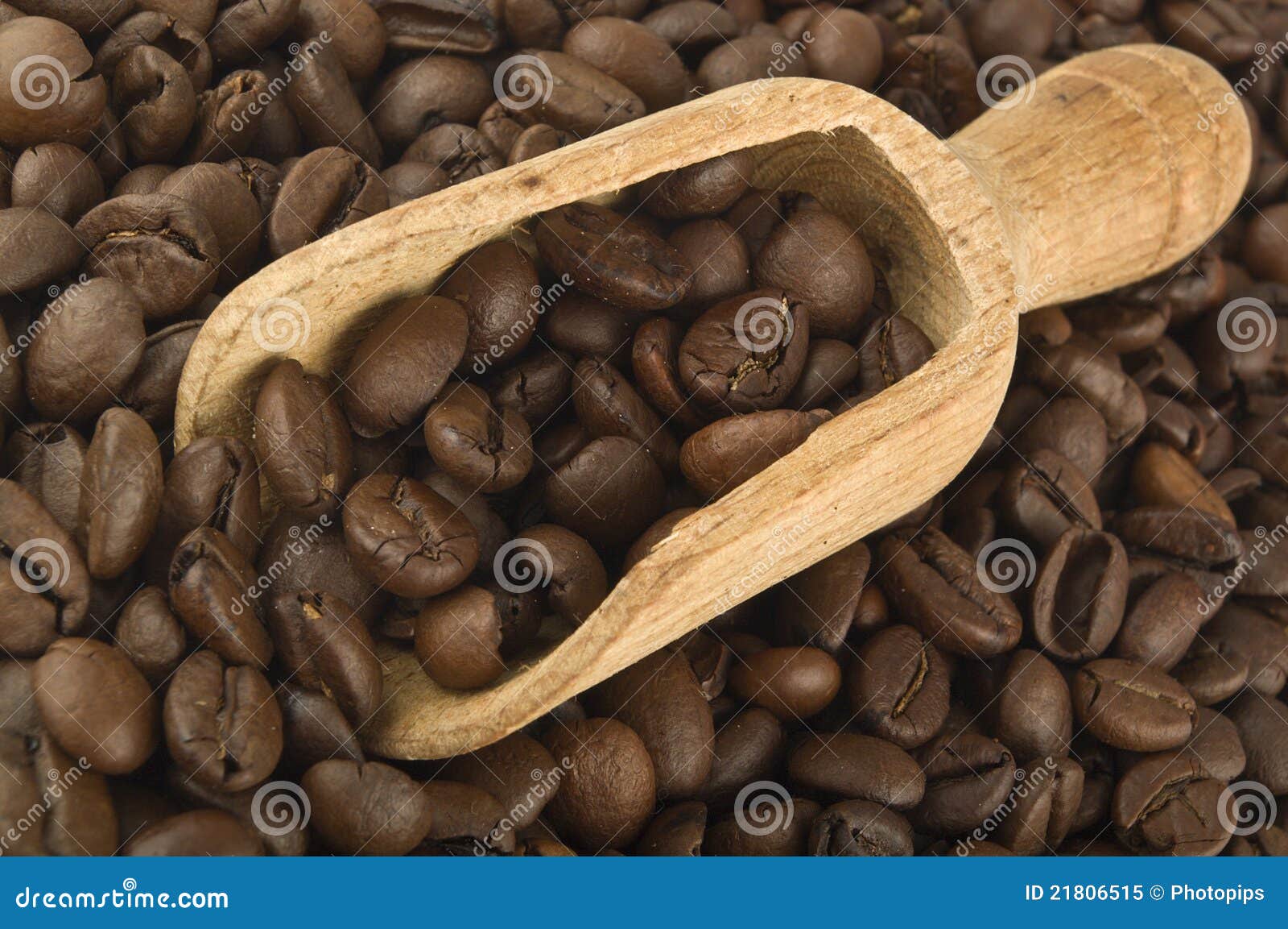 Coffee seeds stock image. Image of food, breakfast, love - 21806515