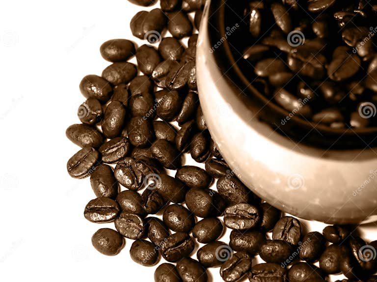 Coffee Series 1 stock photo. Image of milk, drink, percolator - 20240