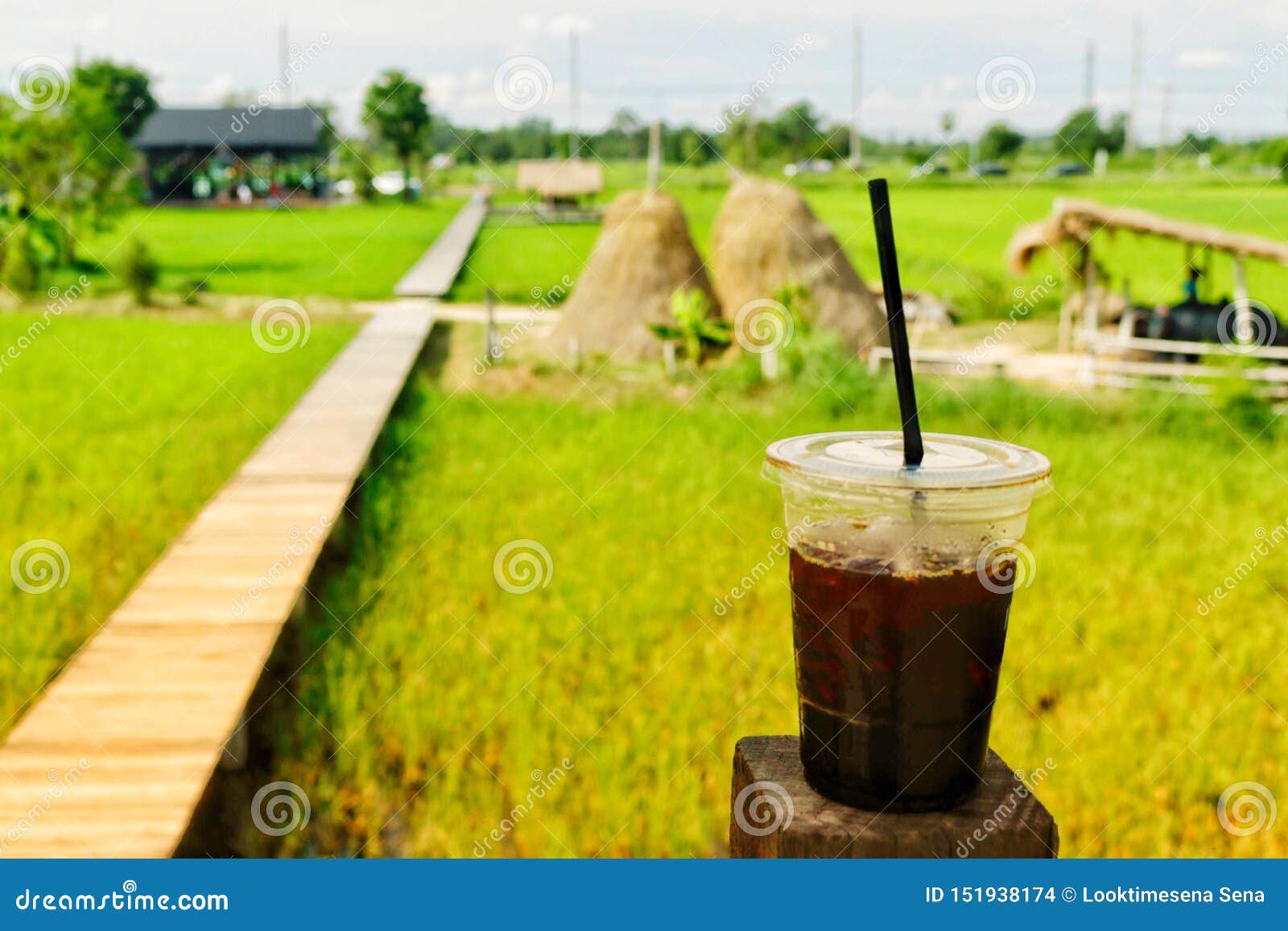 Coffee shop field stock photo. Image of field, coffee - 151938174