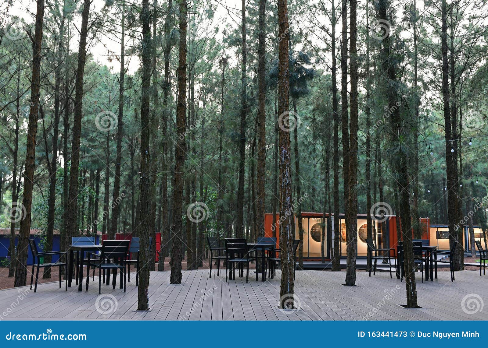 Coffee shop in the forest stock image. Image of shop - 163441473