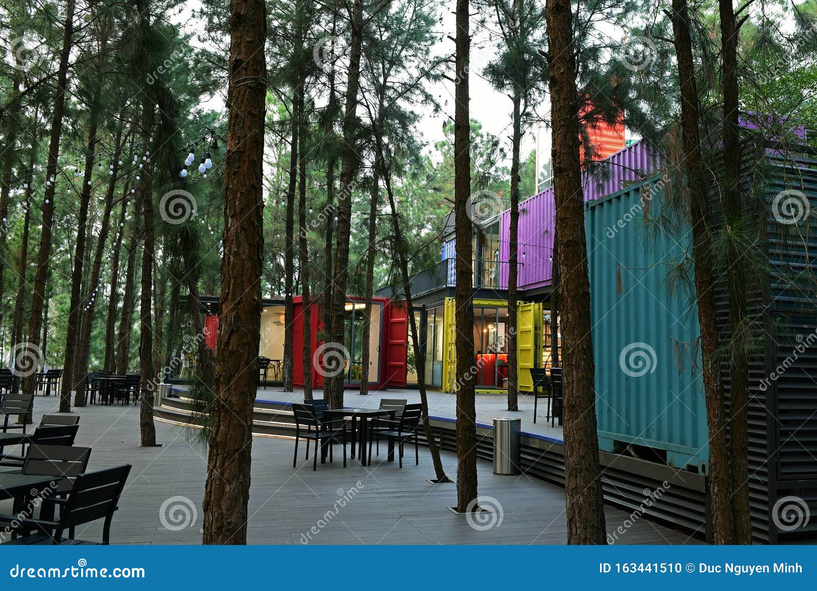 Coffee shop in the forest stock photo. Image of shop - 163441510