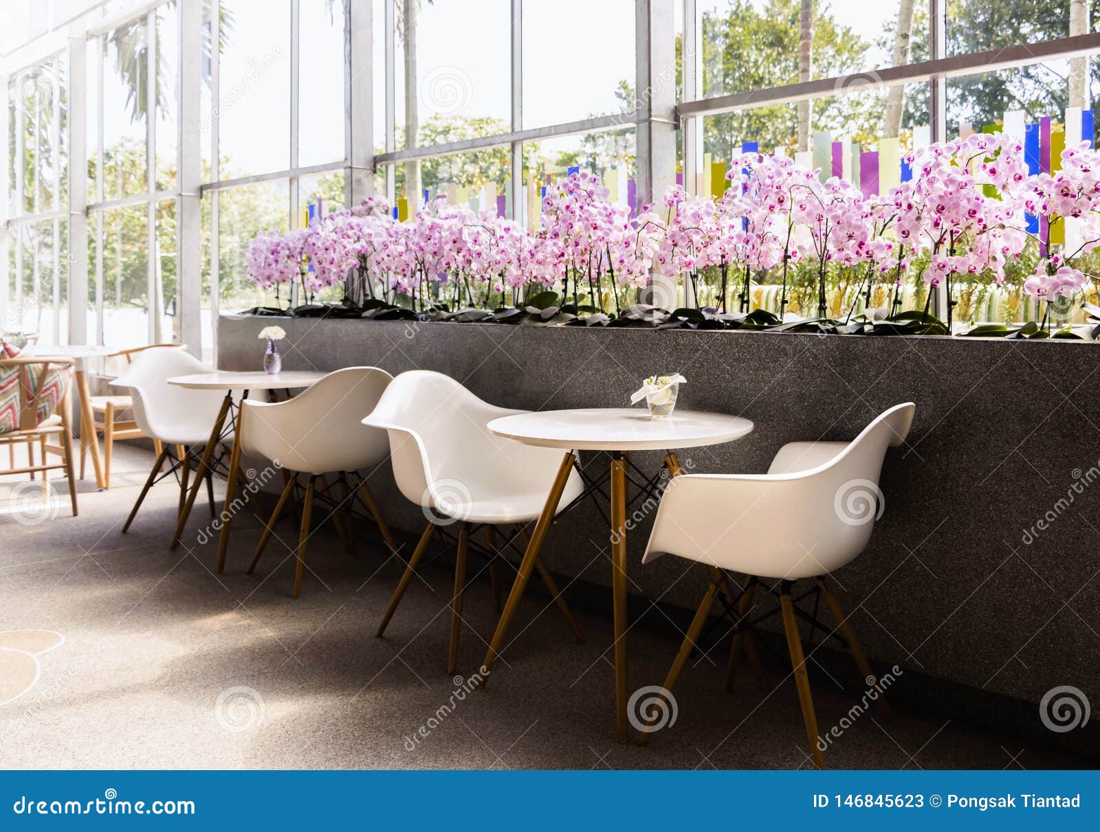 Coffee Shop Interior Design with White Chairs and Violet of Flower ...